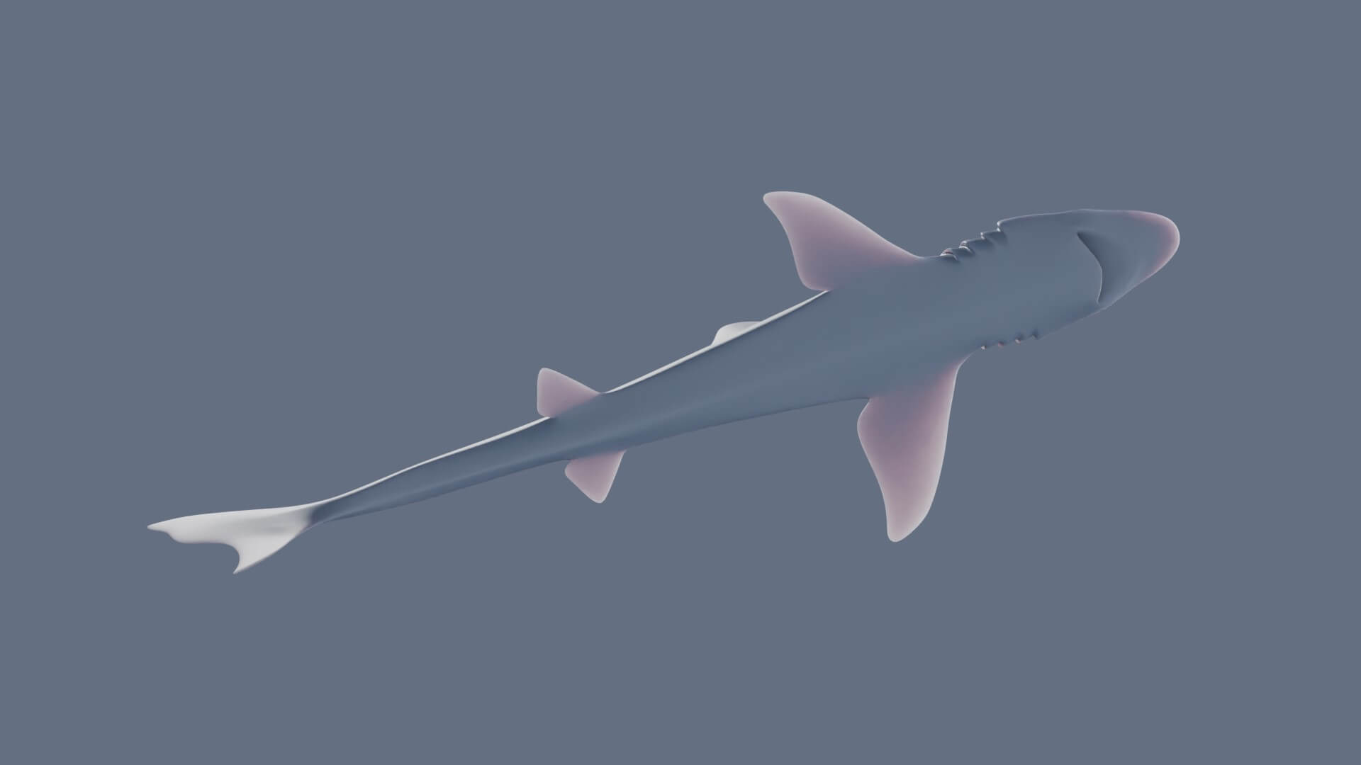 Blue Shark Figurine - Free 3D Model by Pig Scales Studio