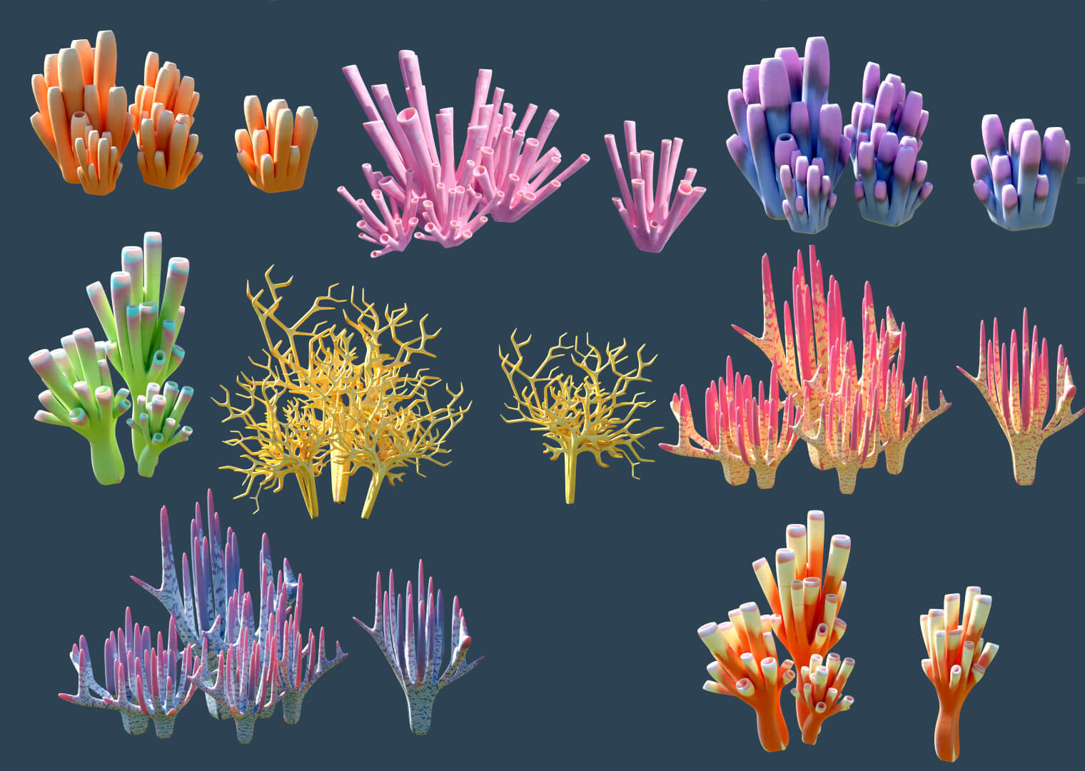 Coral Collection - 3D Model by Pig Scales Studio