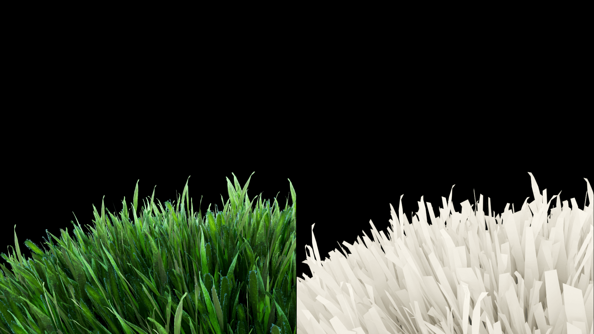 Customizable Seagrass 3D Render, Digital Art by Pig Scales Studio