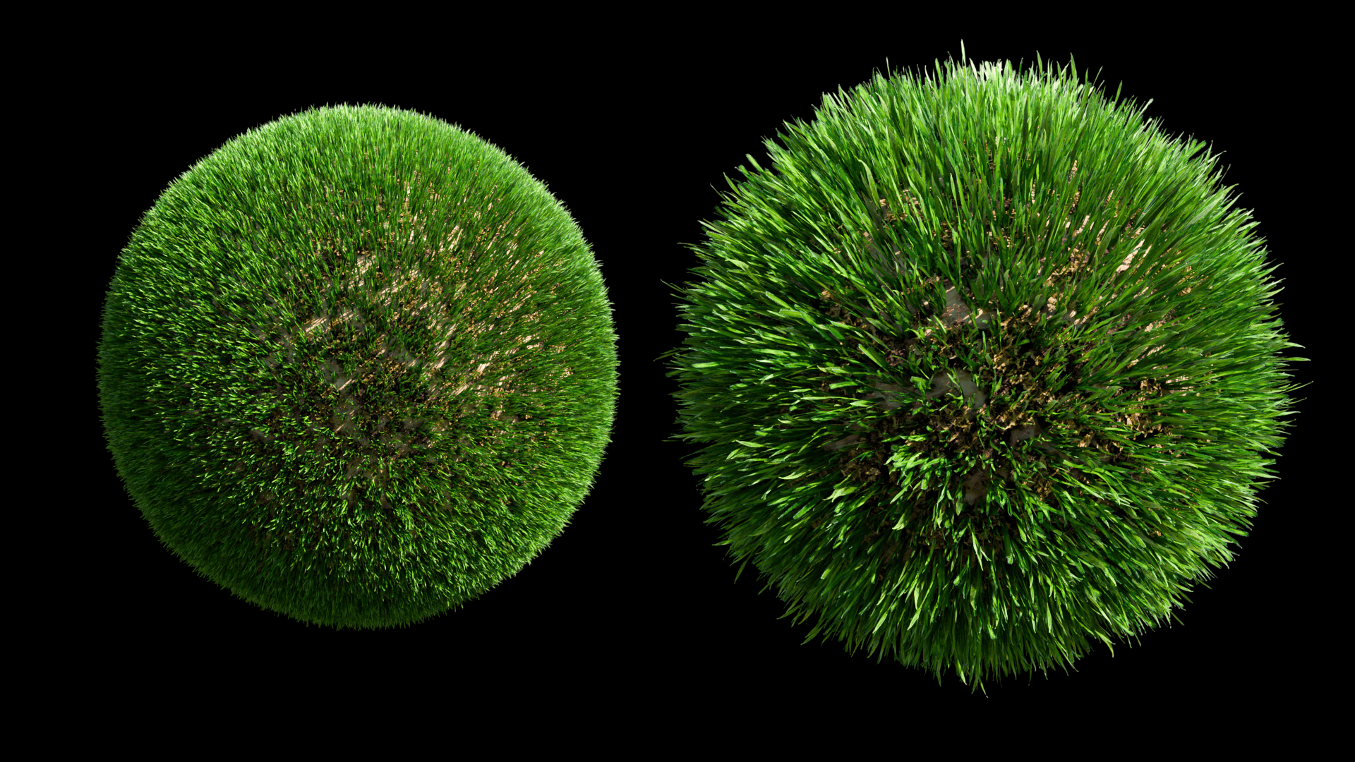 Customizable Seagrass 3D Render, Digital Art by Pig Scales Studio