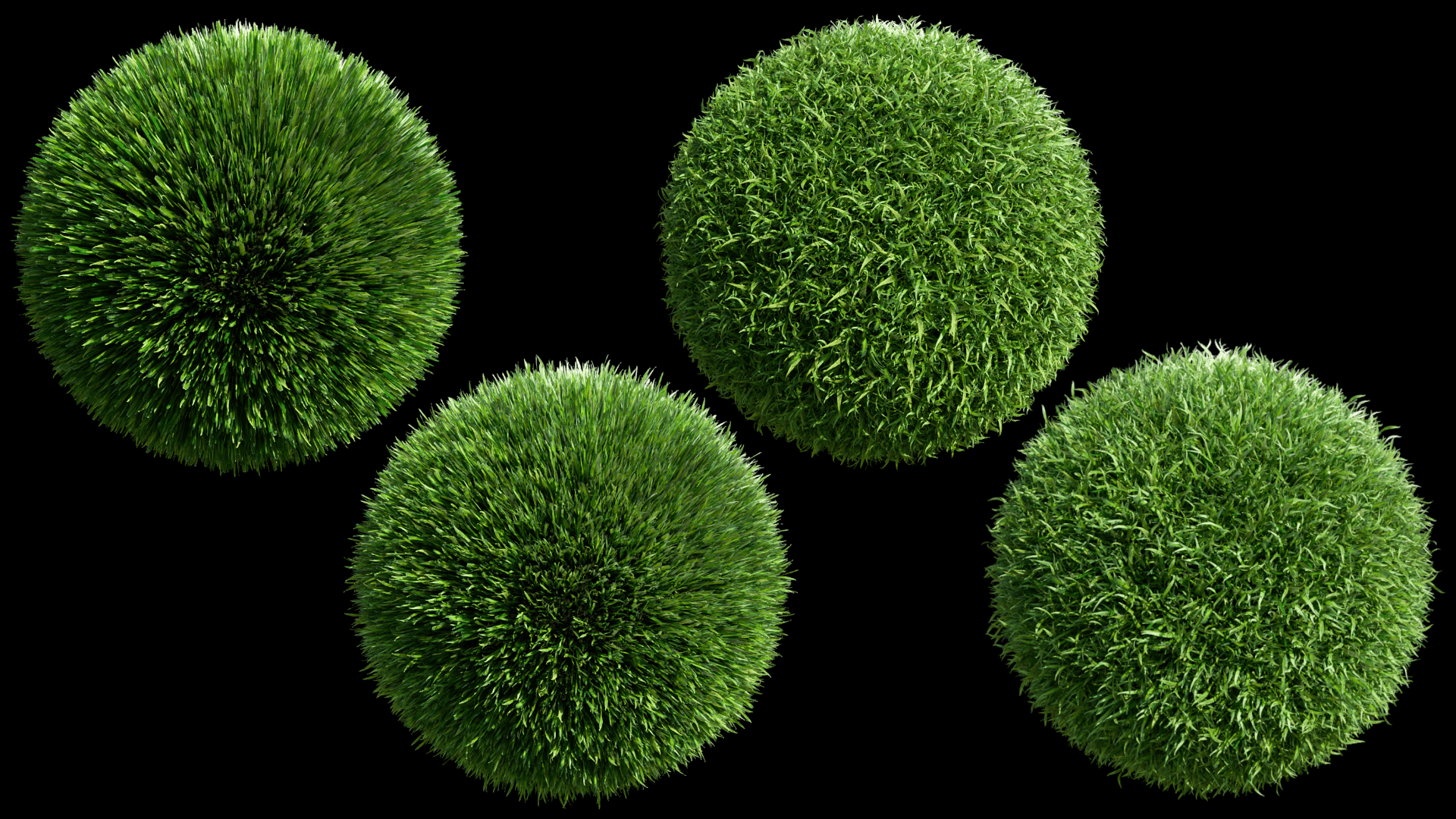 Customizable Seagrass 3D Render, Digital Art by Pig Scales Studio