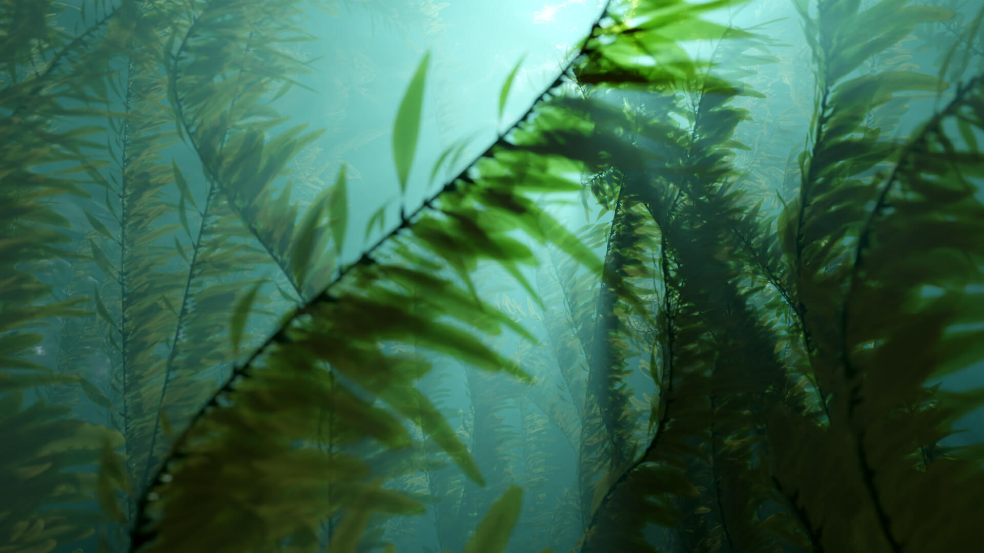 Kelp Forest 3D Render, Digital Art by Pig Scales Studio
