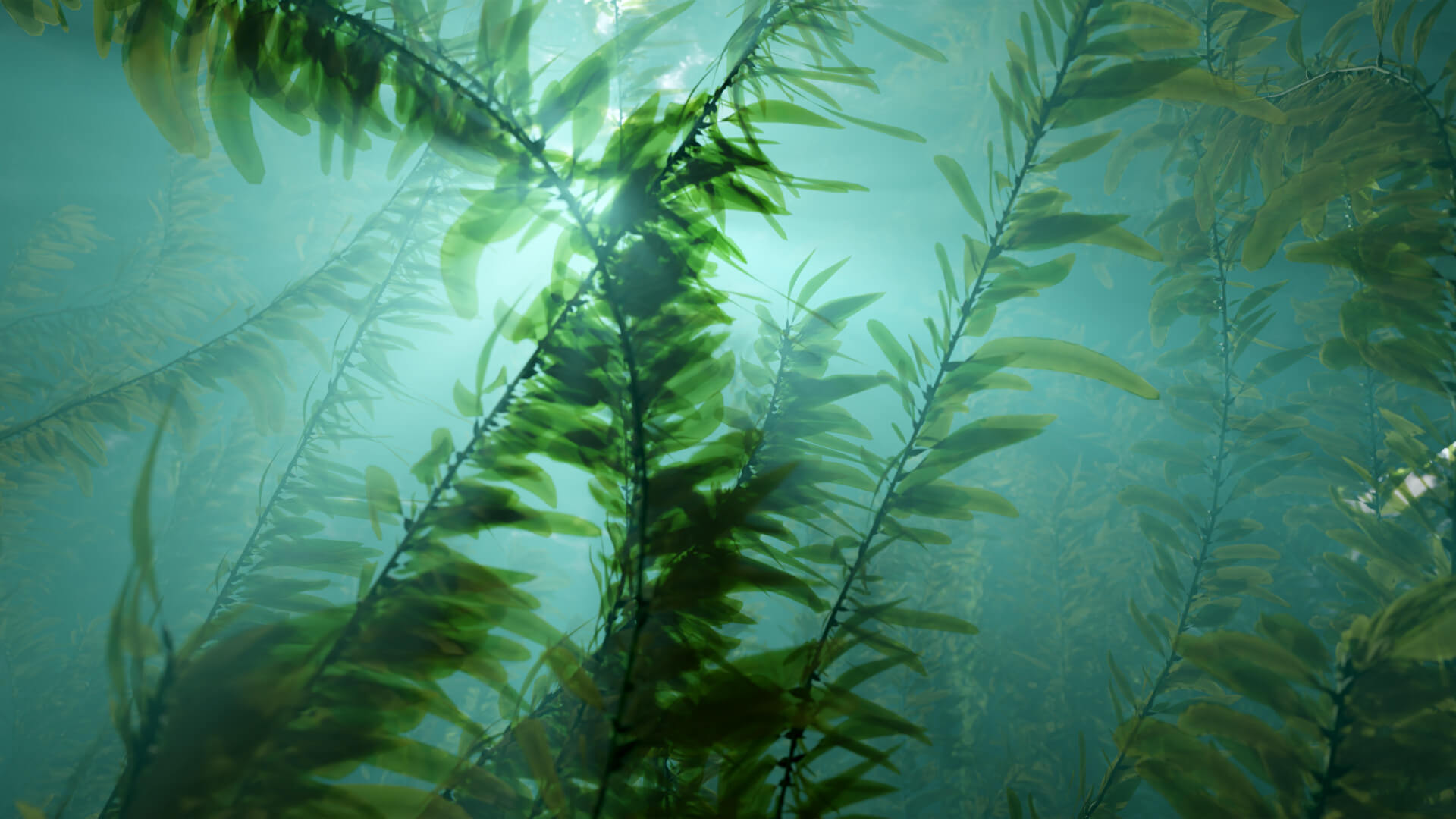 Kelp Forest 3D Render, Digital Art by Pig Scales Studio