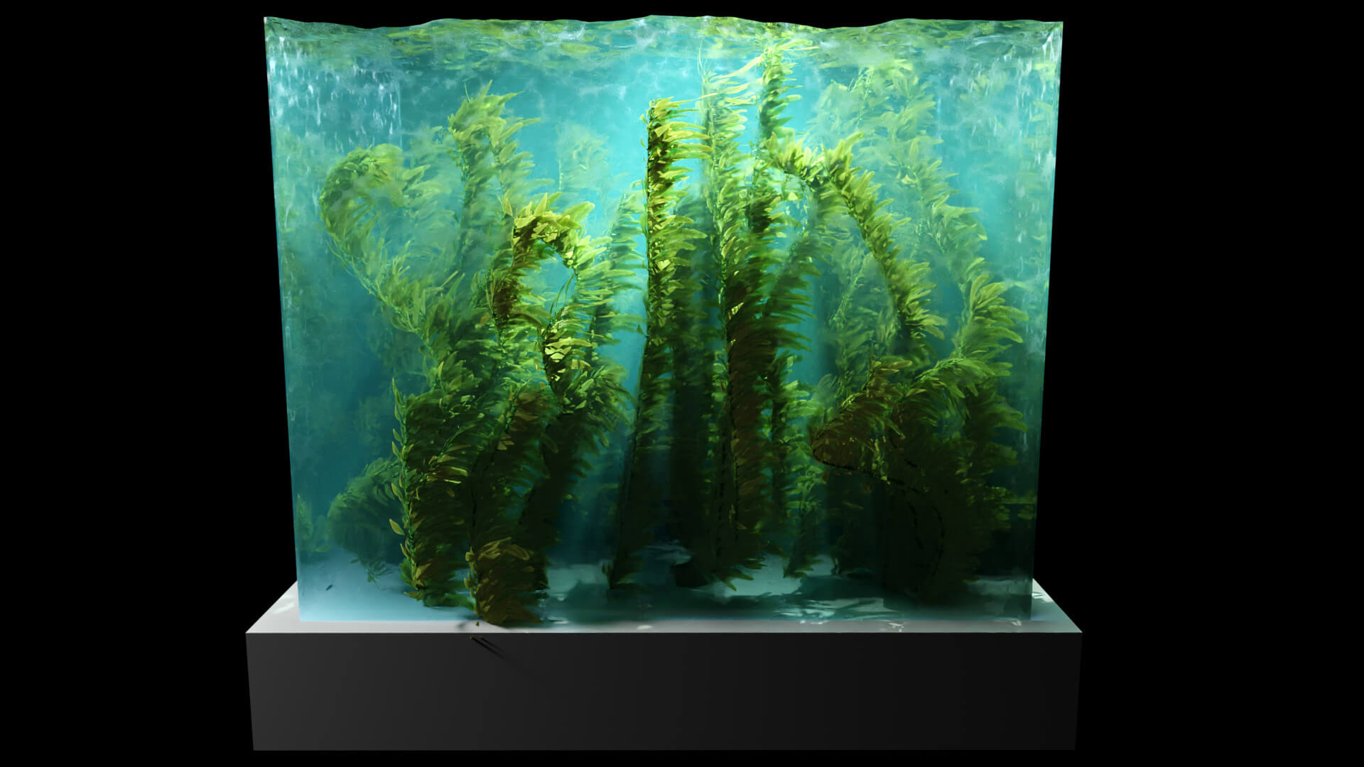 Kelp Forest 3D Render, Digital Art by Pig Scales Studio