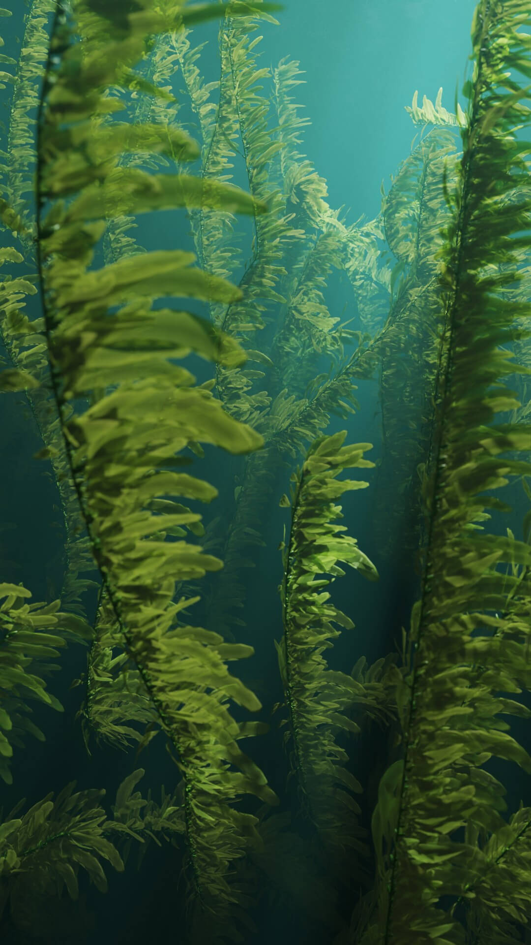 Kelp Forest 3D Render, Digital Art by Pig Scales Studio