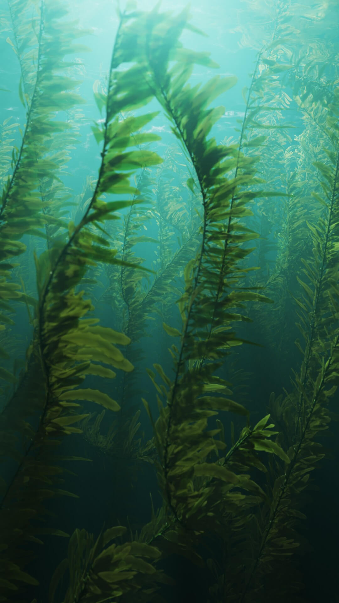 Kelp Forest 3D Render, Digital Art by Pig Scales Studio