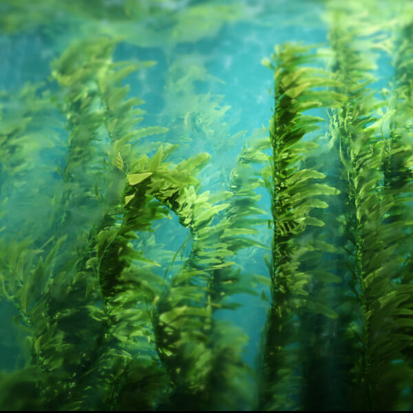 3D Render Gallery | View Images and Submit 3D Renders at RenderHub