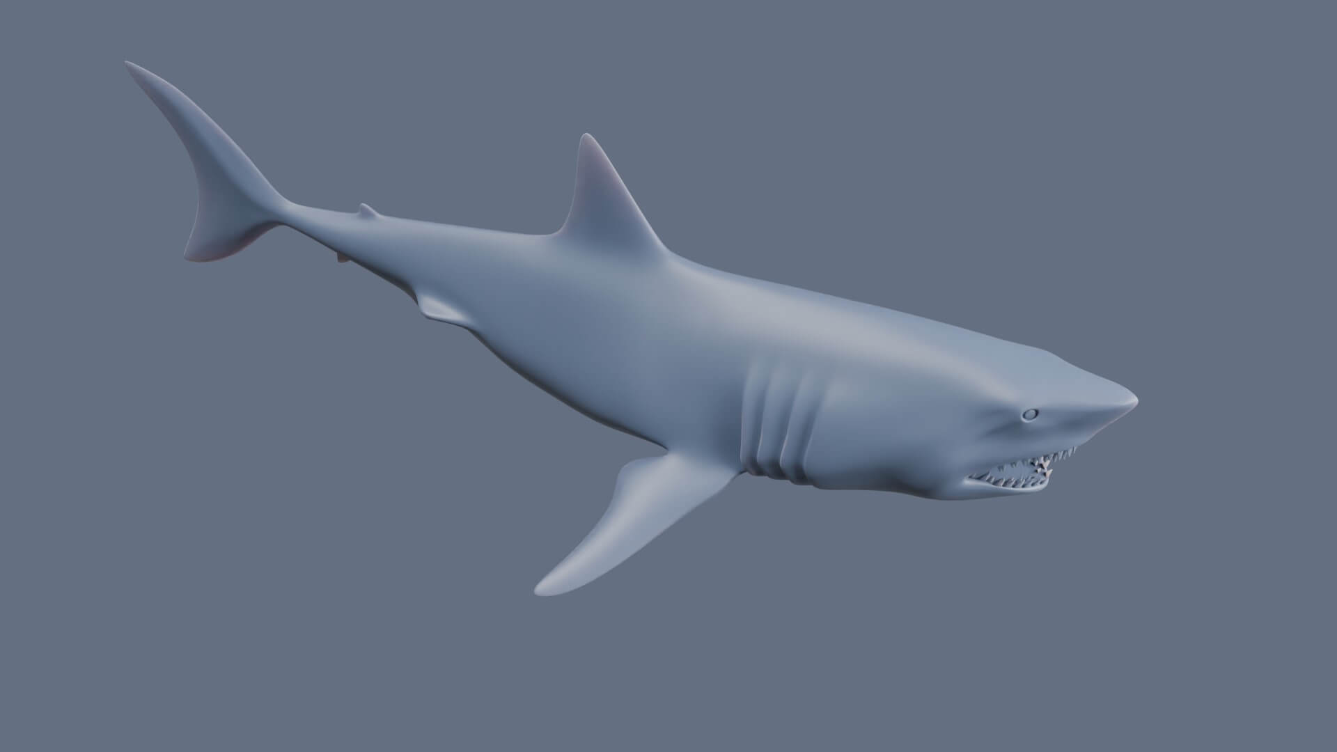 Great White Shark - 3D Model by Pig Scales Studio