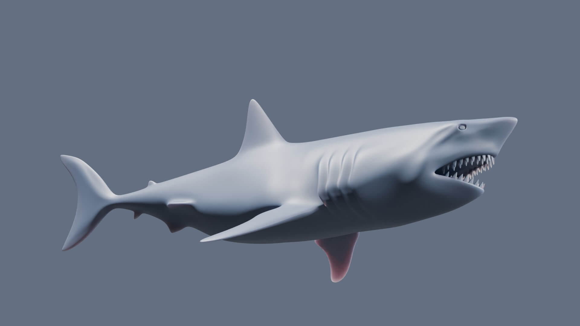 Great White Shark - Free 3D Print Model by Pig Scales Studio