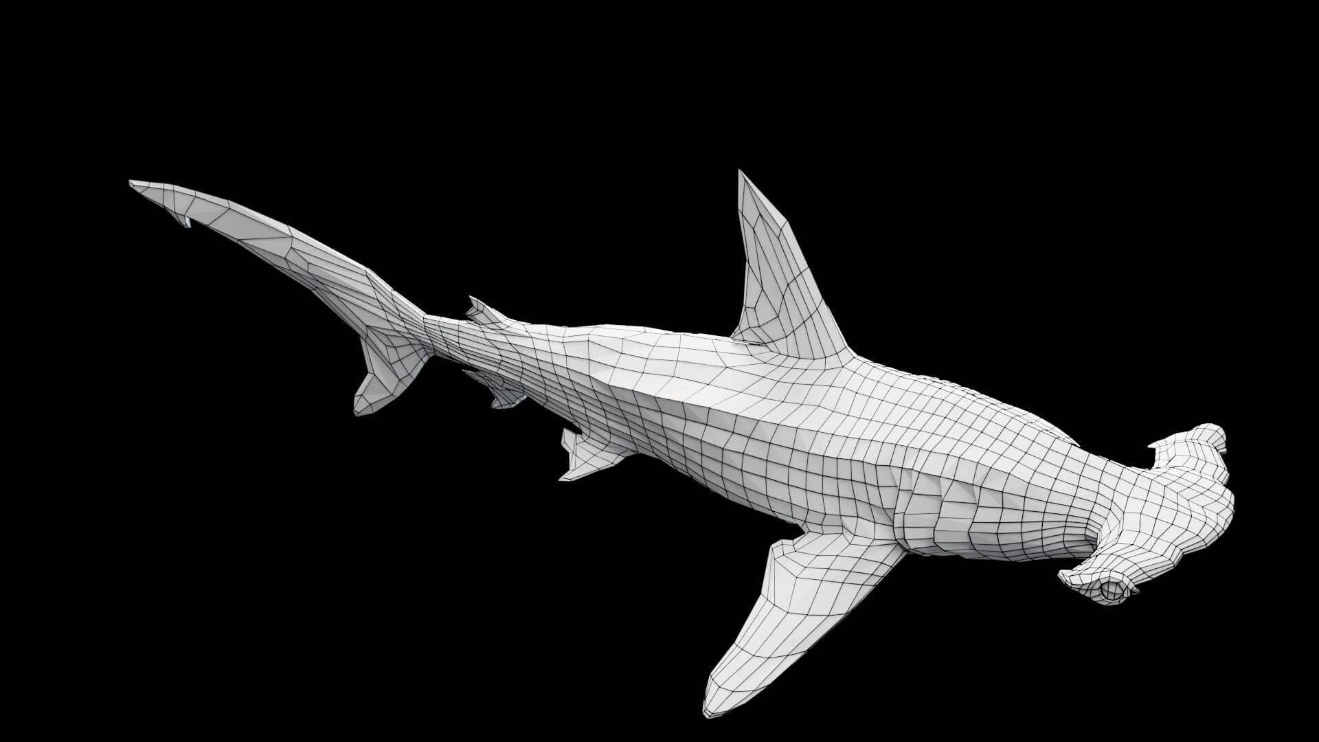 Hammerhead Shark - 3D Model by Pig Scales Studio