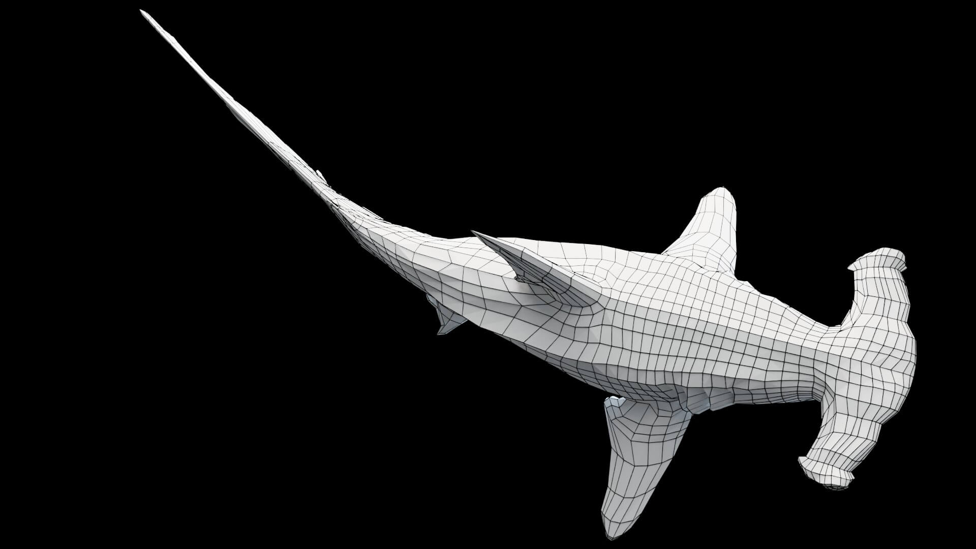 Hammerhead Shark - 3D Model by Pig Scales Studio