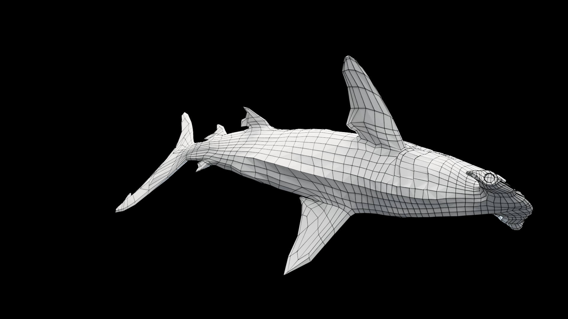 Hammerhead Shark - 3D Model by Pig Scales Studio