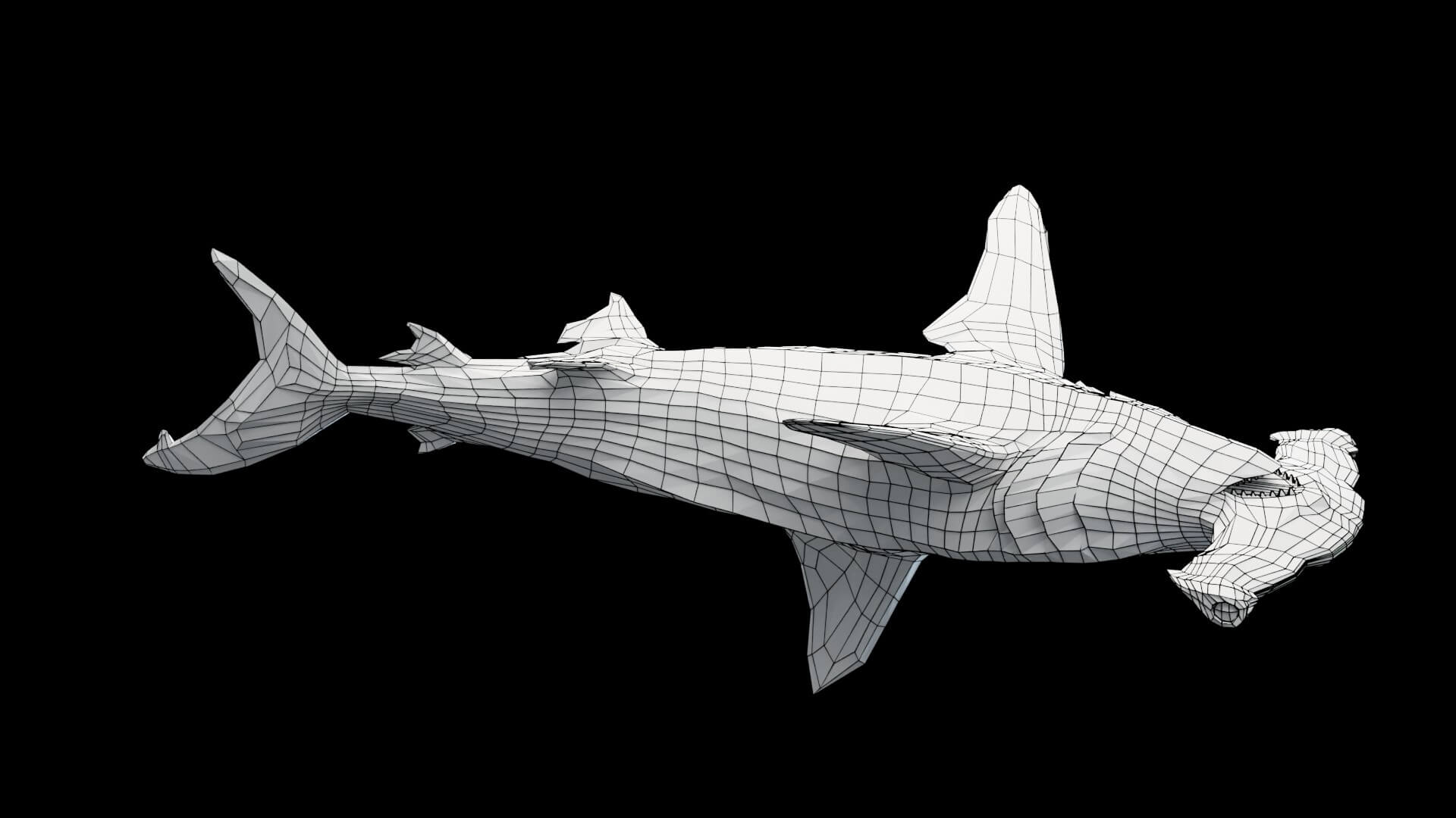 Hammerhead Shark - 3D Model by Pig Scales Studio