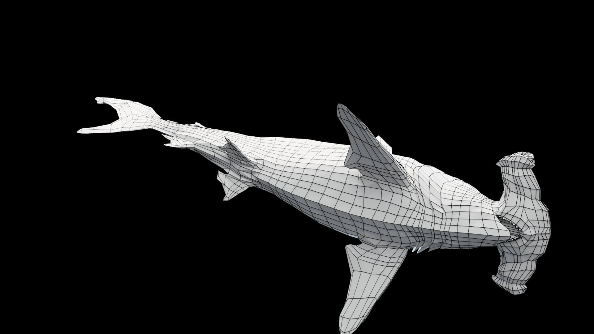 Hammerhead Shark - 3D Model by Pig Scales Studio