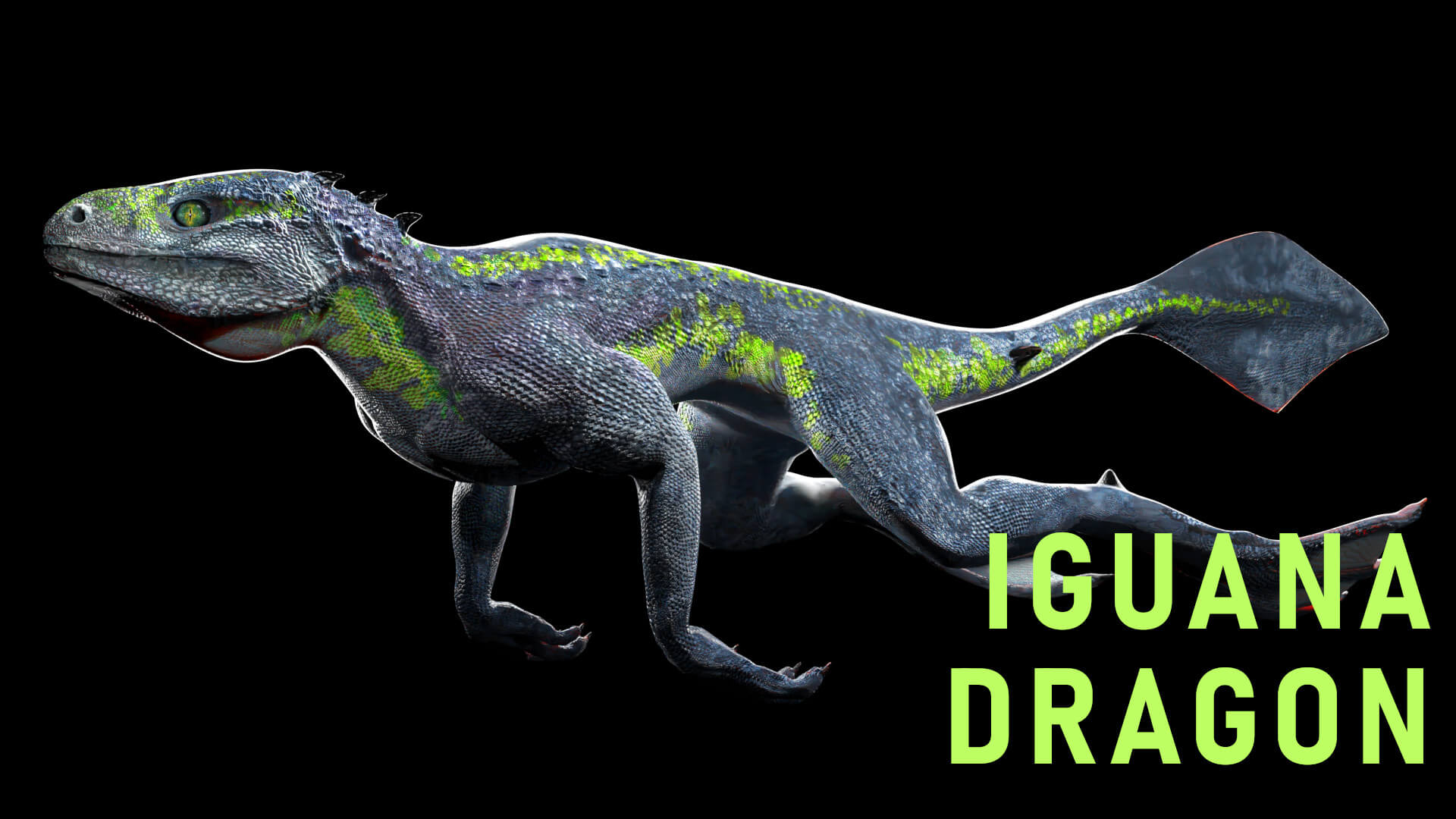 Iguana Dragon - 3D Model by Pig Scales Studio