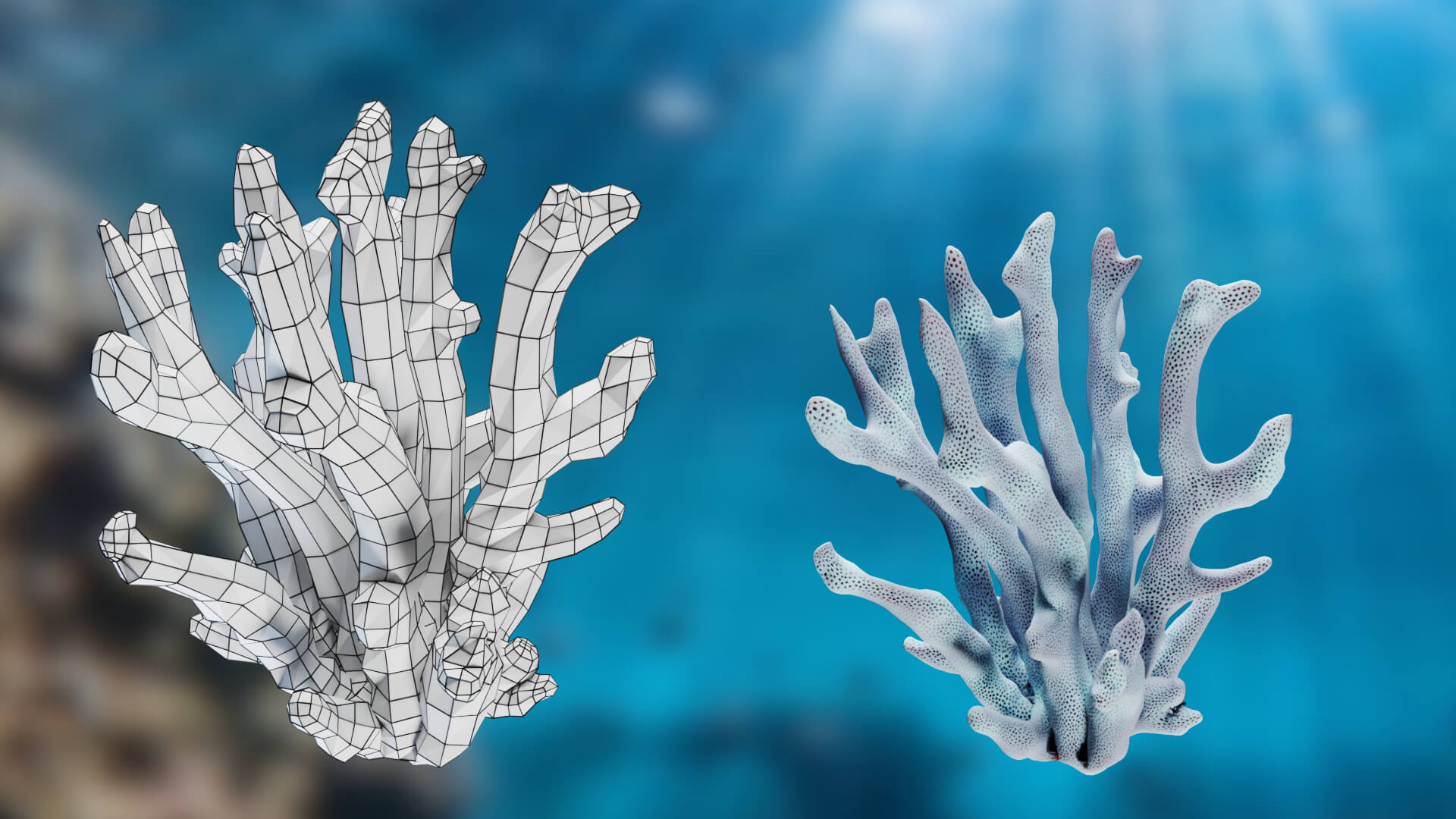 Low Poly Coral Pack - 3D Model by Pig Scales Studio