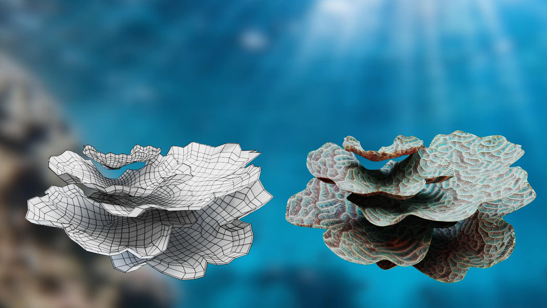 Low Poly Coral Pack - 3D Model by Pig Scales Studio