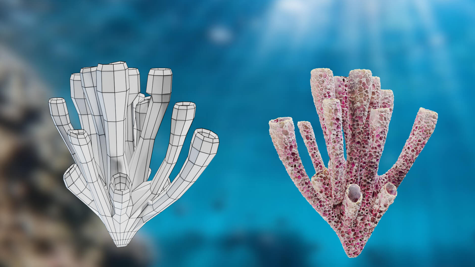 Low Poly Coral Pack - 3D Model by Pig Scales Studio