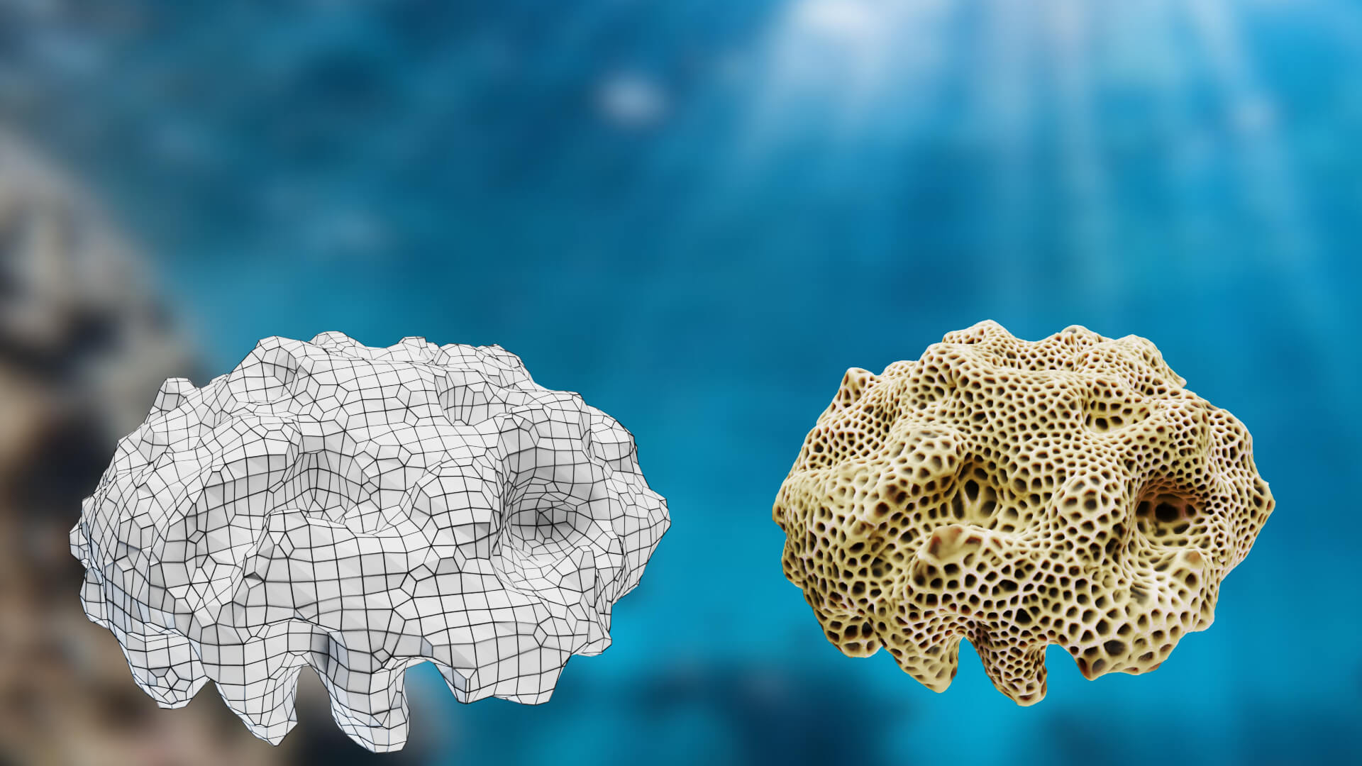 Low Poly Coral Pack - 3D Model by Pig Scales Studio