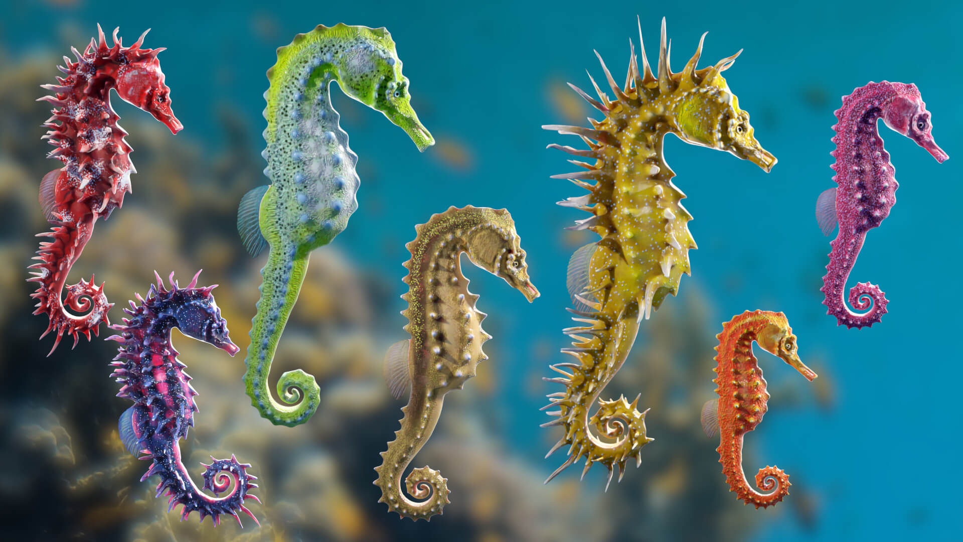 Low Poly Seahorse Pack - 3D Model by Pig Scales Studio