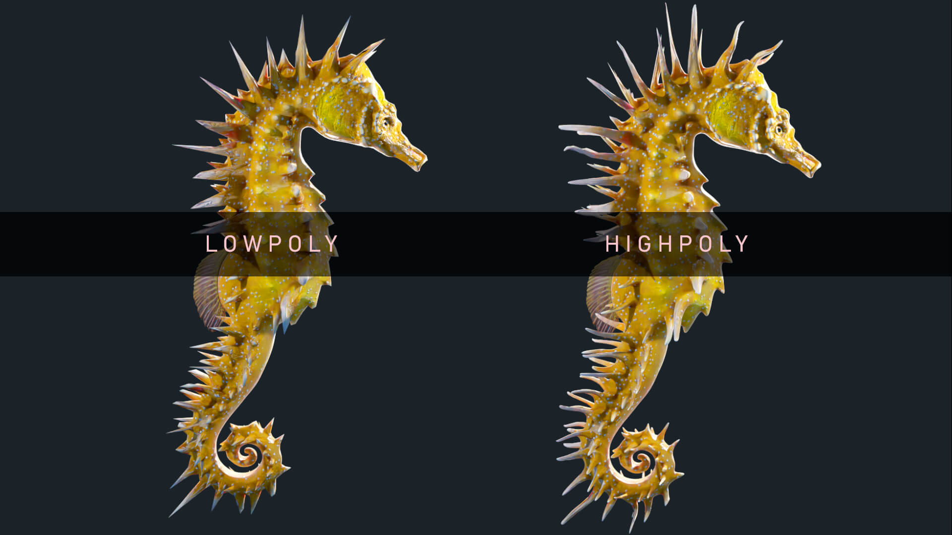 Low Poly Seahorse Pack - 3D Model by Pig Scales Studio
