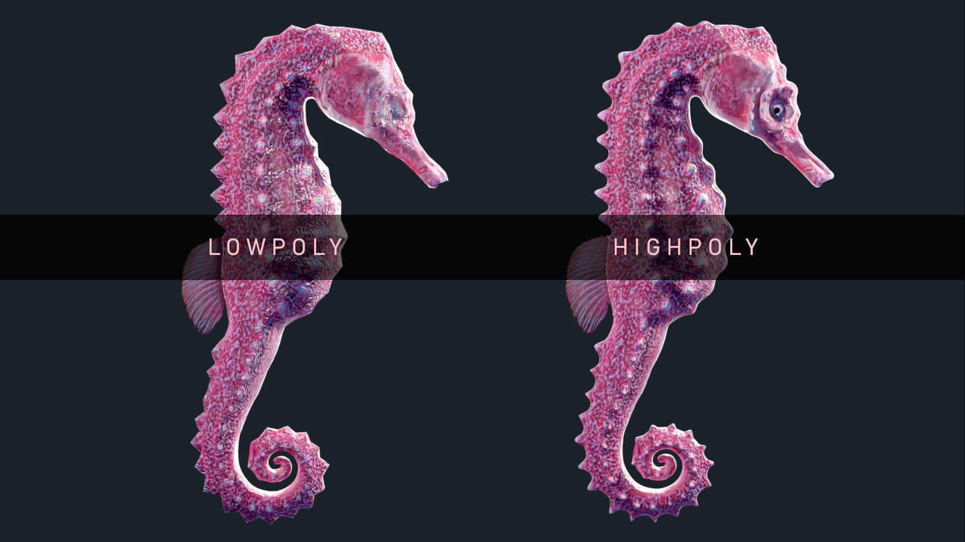 Low Poly Seahorse Pack - 3D Model by Pig Scales Studio