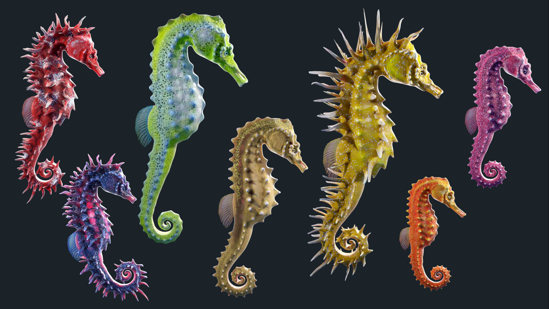 Low Poly Seahorse Pack - 3D Model by Pig Scales Studio