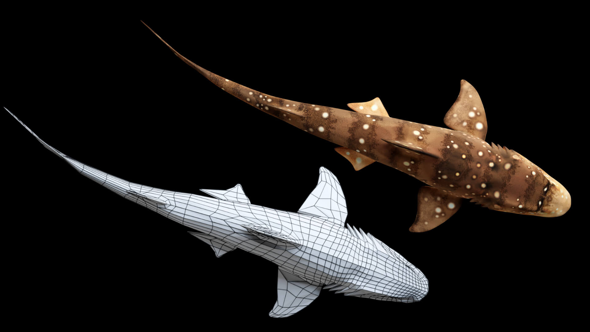 Ocean Creatures Mega Pack - 3D Model by Pig Scales Studio