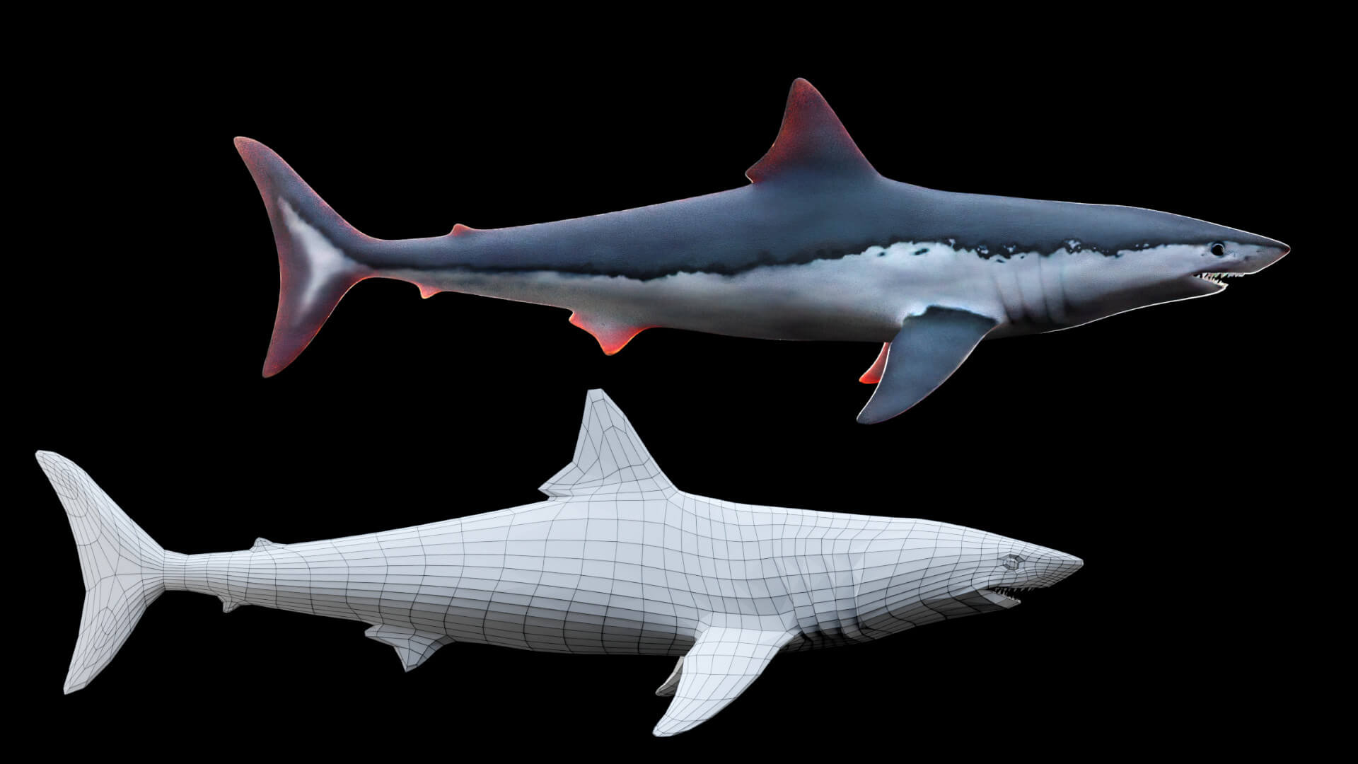 Ocean Creatures Mega Pack - 3D Model by Pig Scales Studio