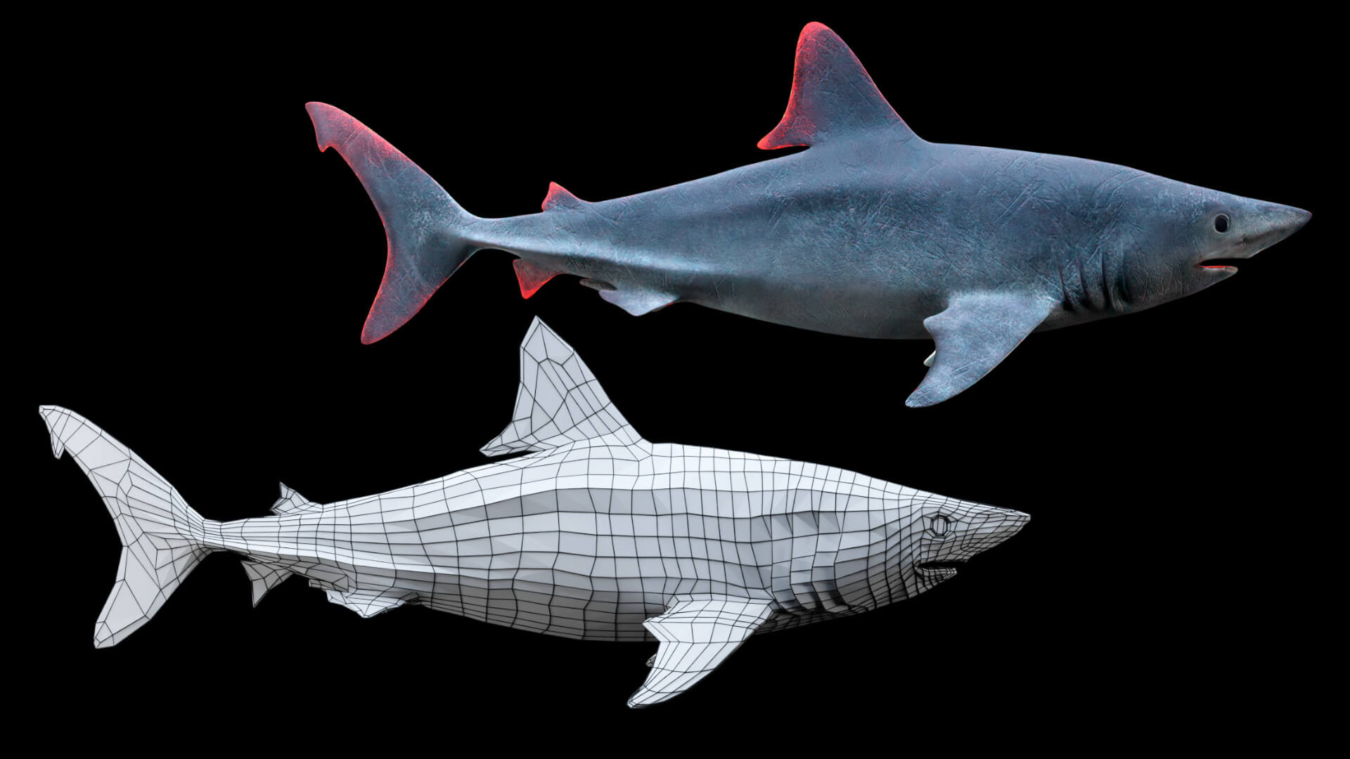 Ocean Creatures Mega Pack - 3D Model by Pig Scales Studio