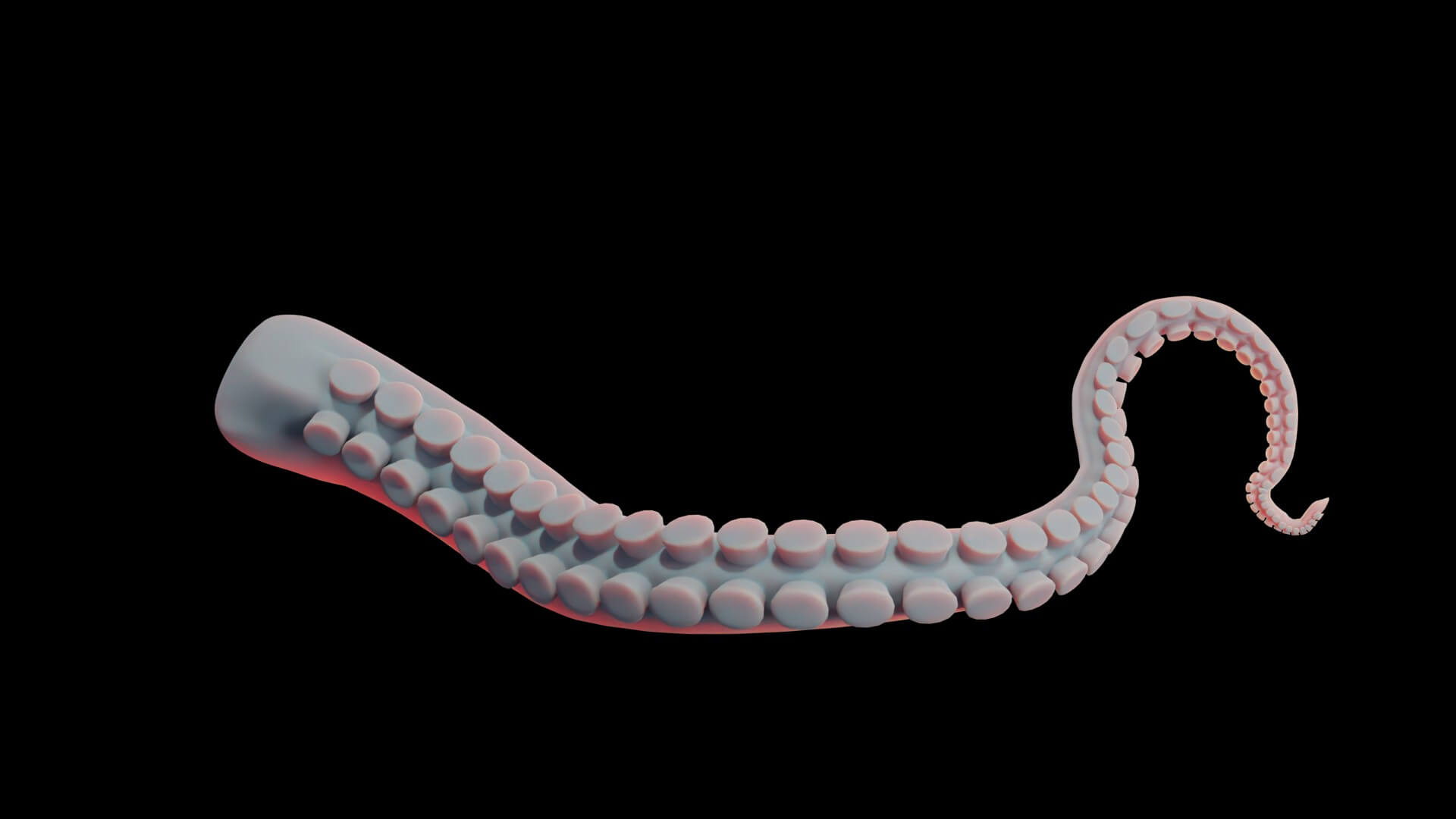 Rigged Tentacle - 3D Model by Pig Scales Studio
