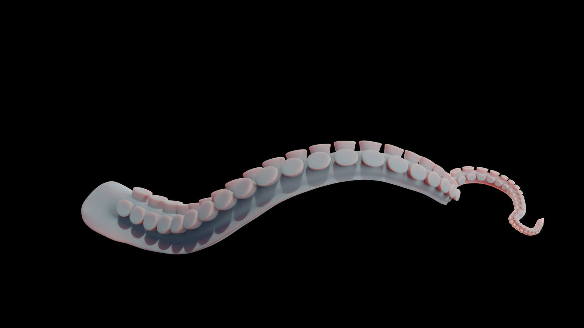 Rigged Tentacle - 3D Model by Pig Scales Studio