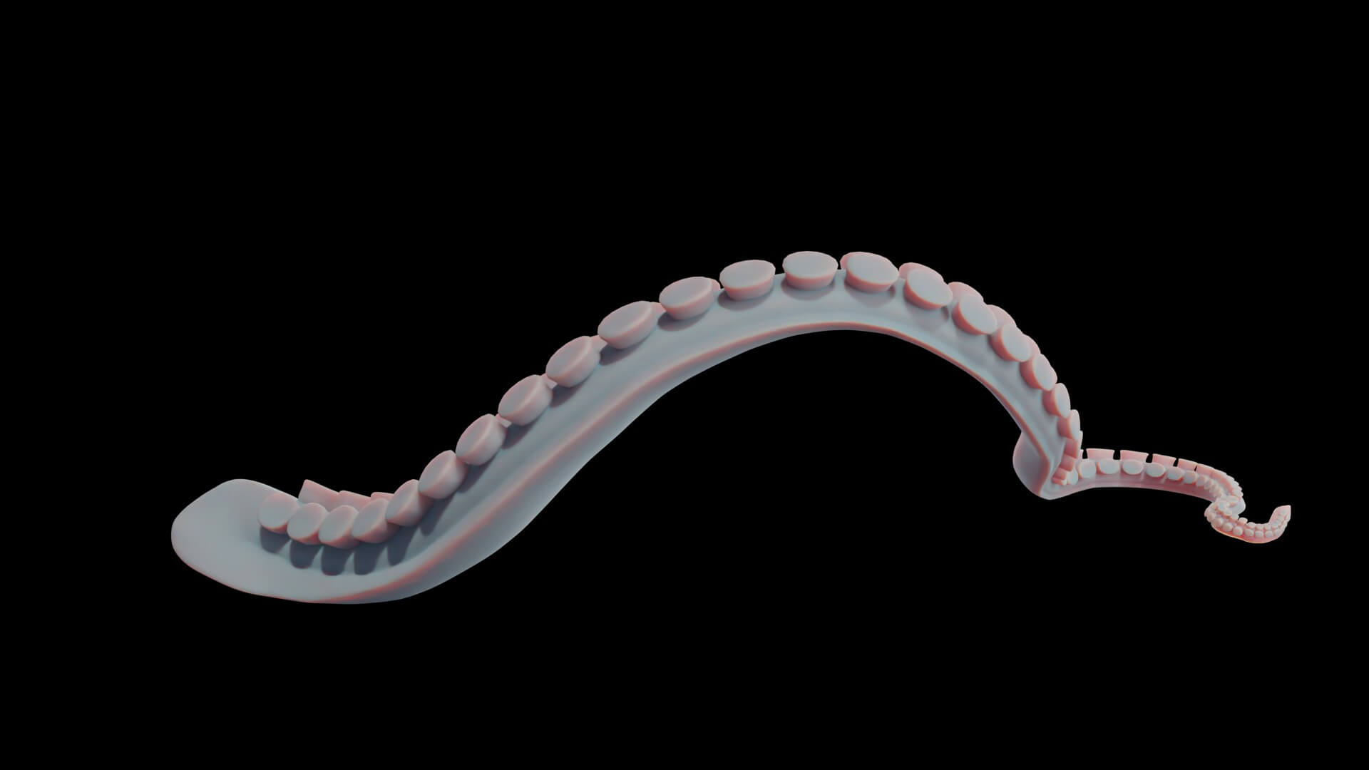 Rigged Tentacle - 3D Model by Pig Scales Studio