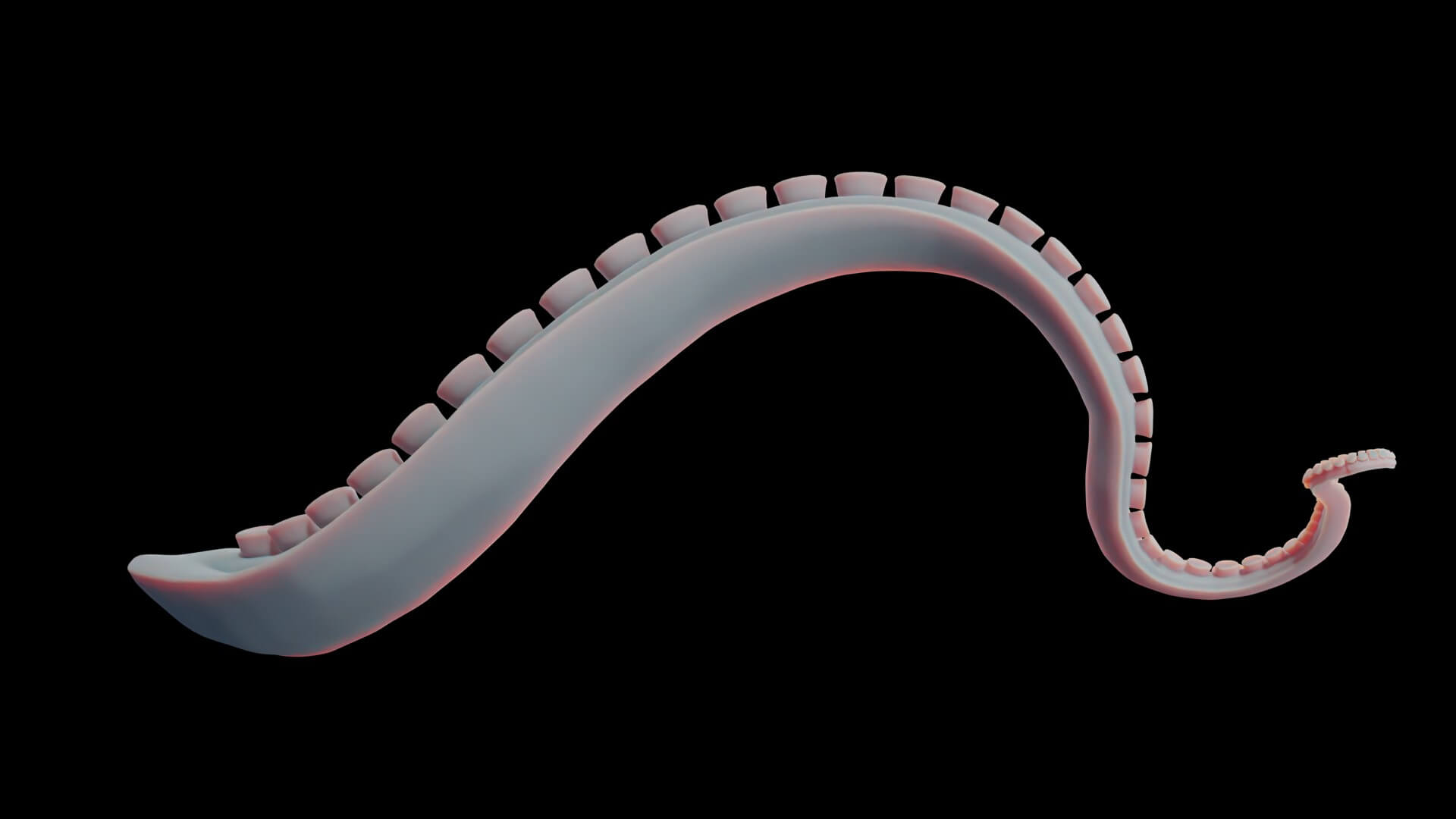 Rigged Tentacle - 3D Model by Pig Scales Studio