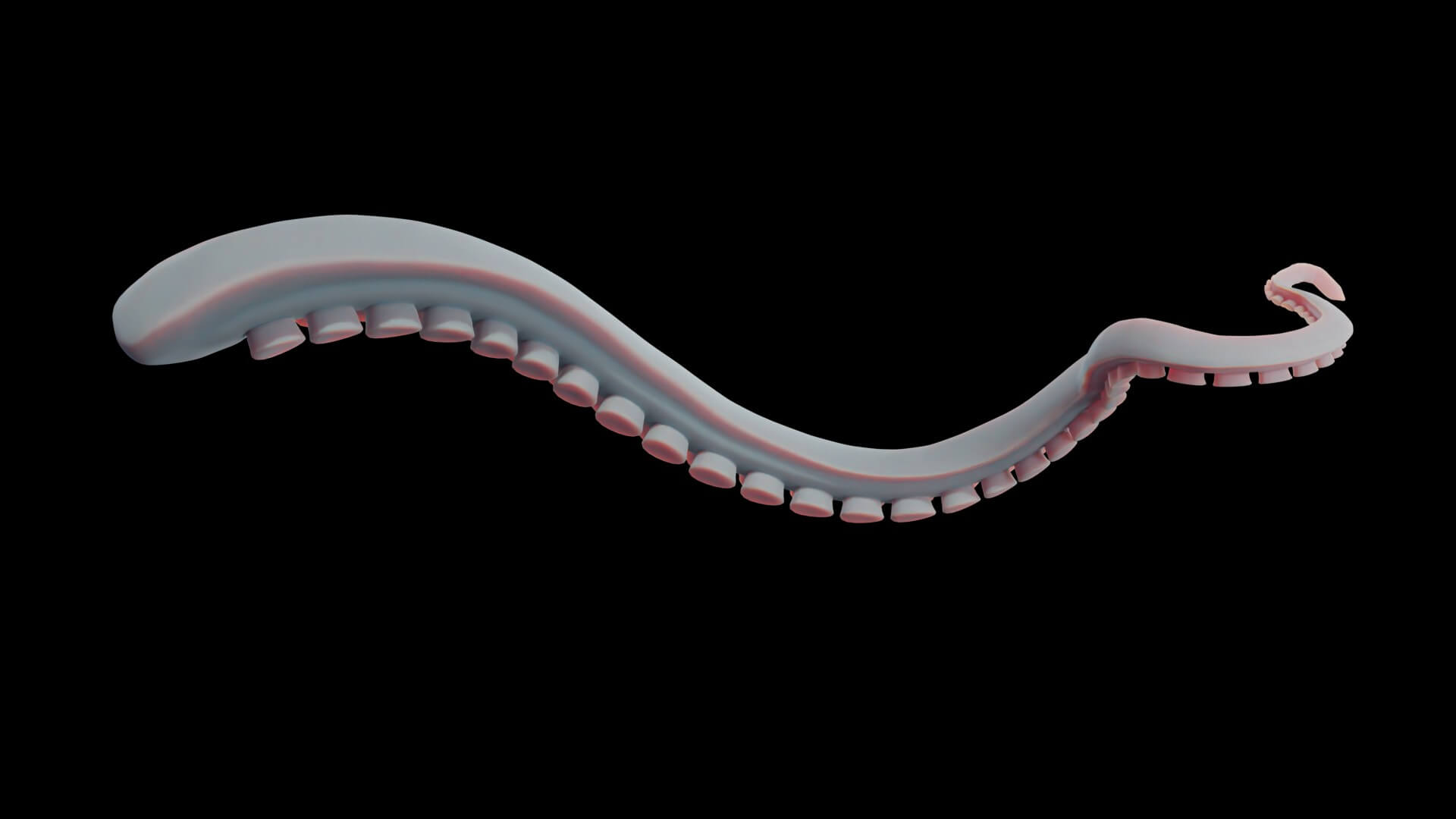 Rigged Tentacle - 3D Model by Pig Scales Studio