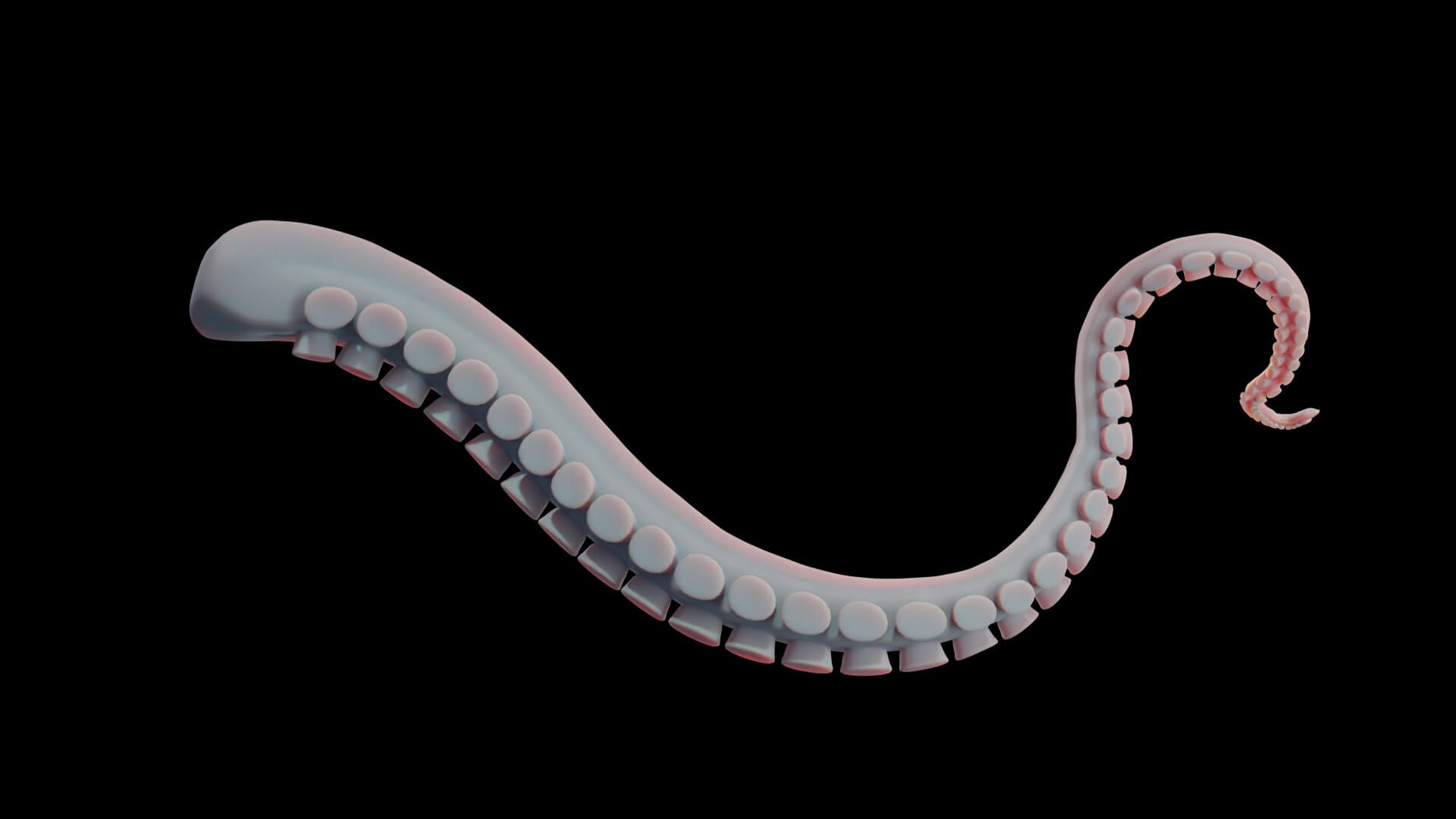 Rigged Tentacle - 3D Model by Pig Scales Studio