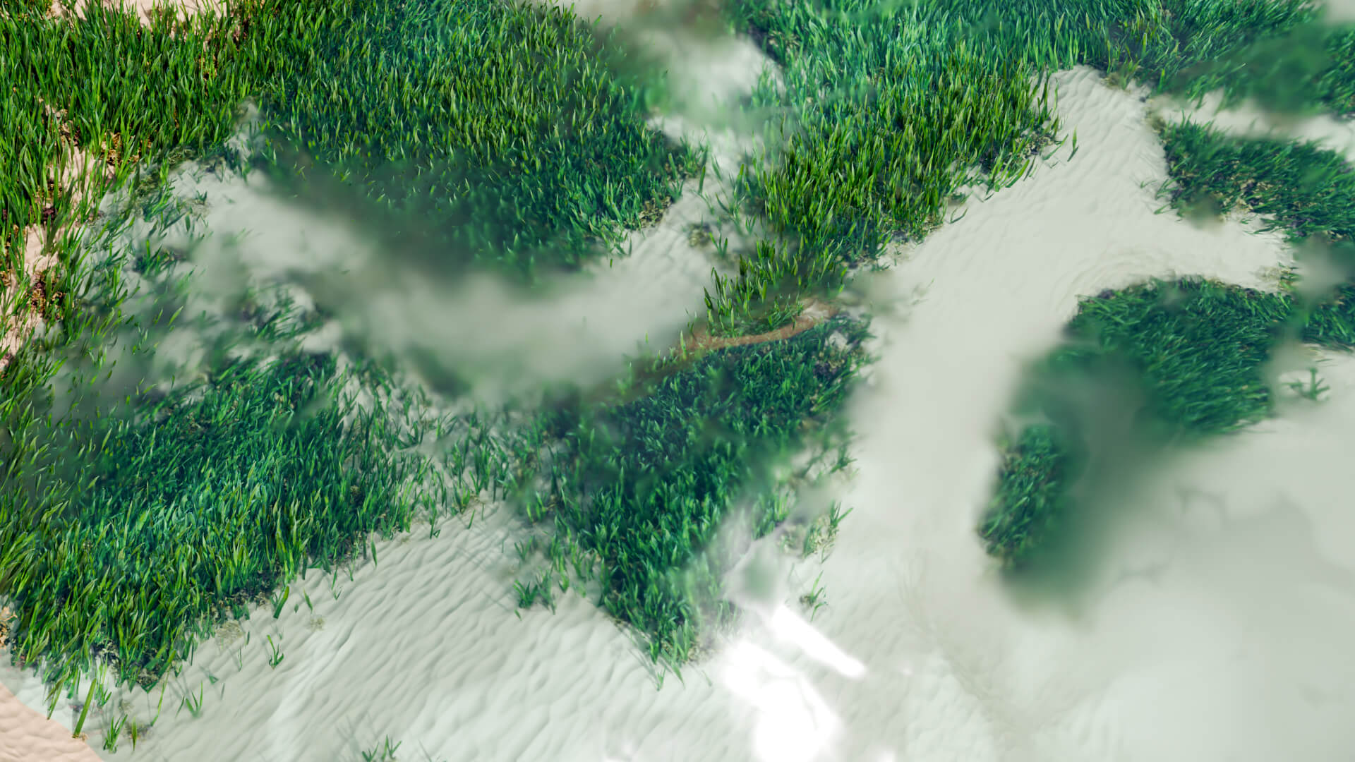 Seagrass Generator - 3D Material or Shader by Pig Scales Studio