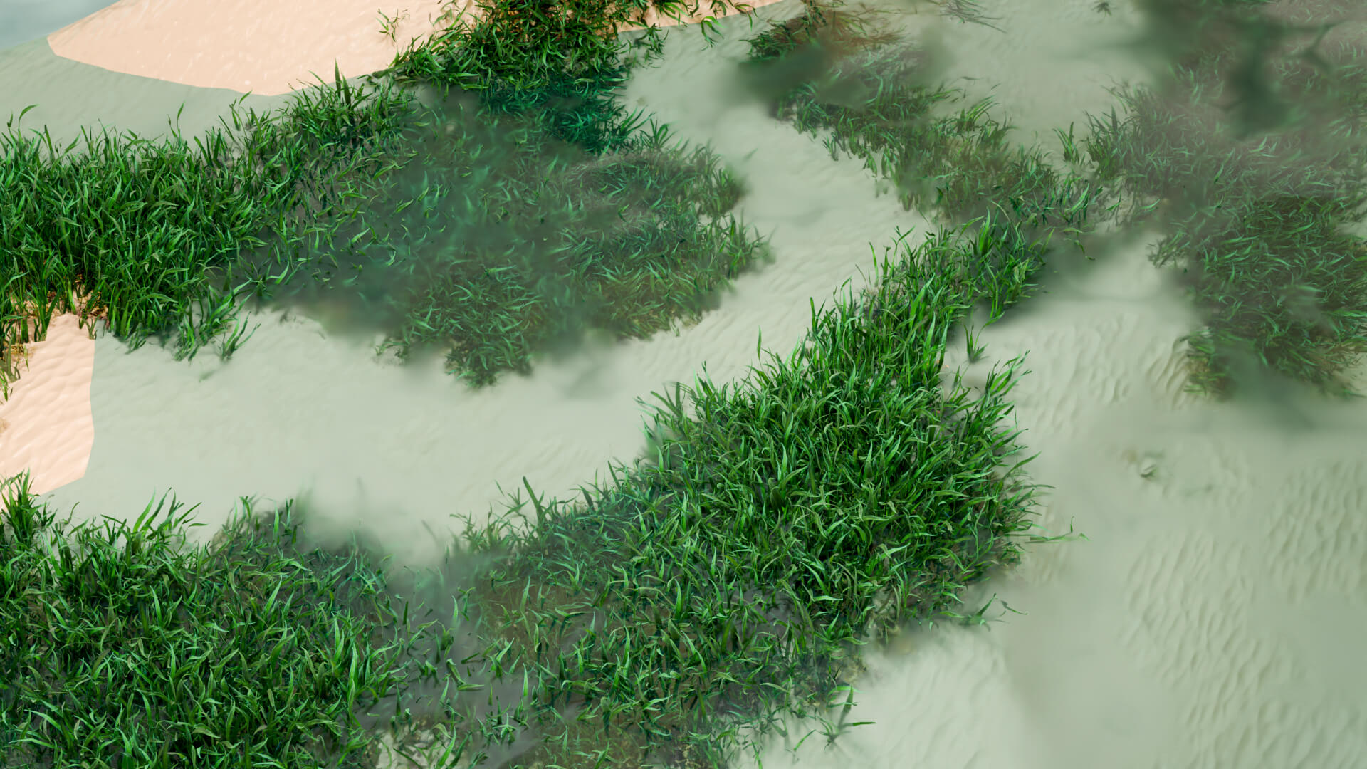 Seagrass Generator - 3D Material or Shader by Pig Scales Studio