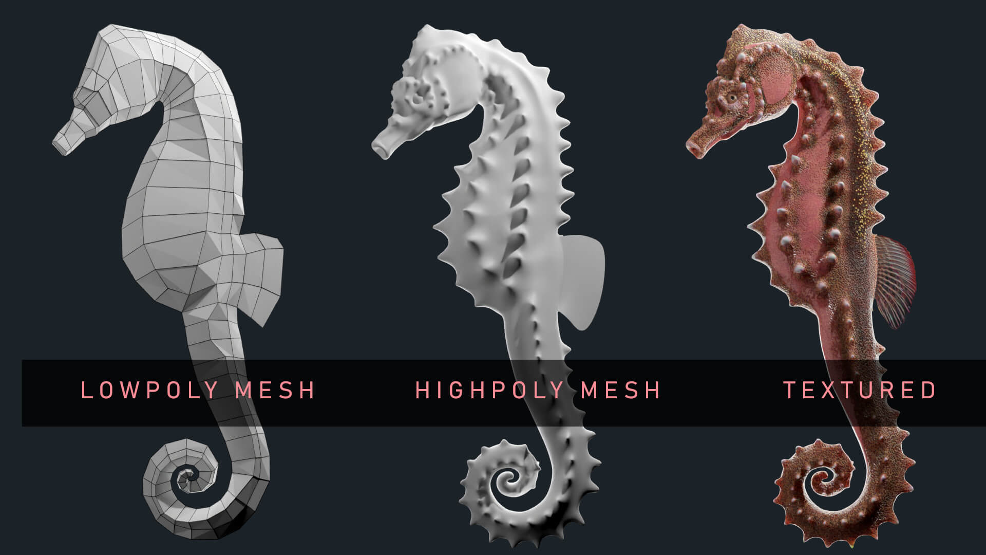 Game Ready Seahorse - 3D Model by Pig Scales Studio