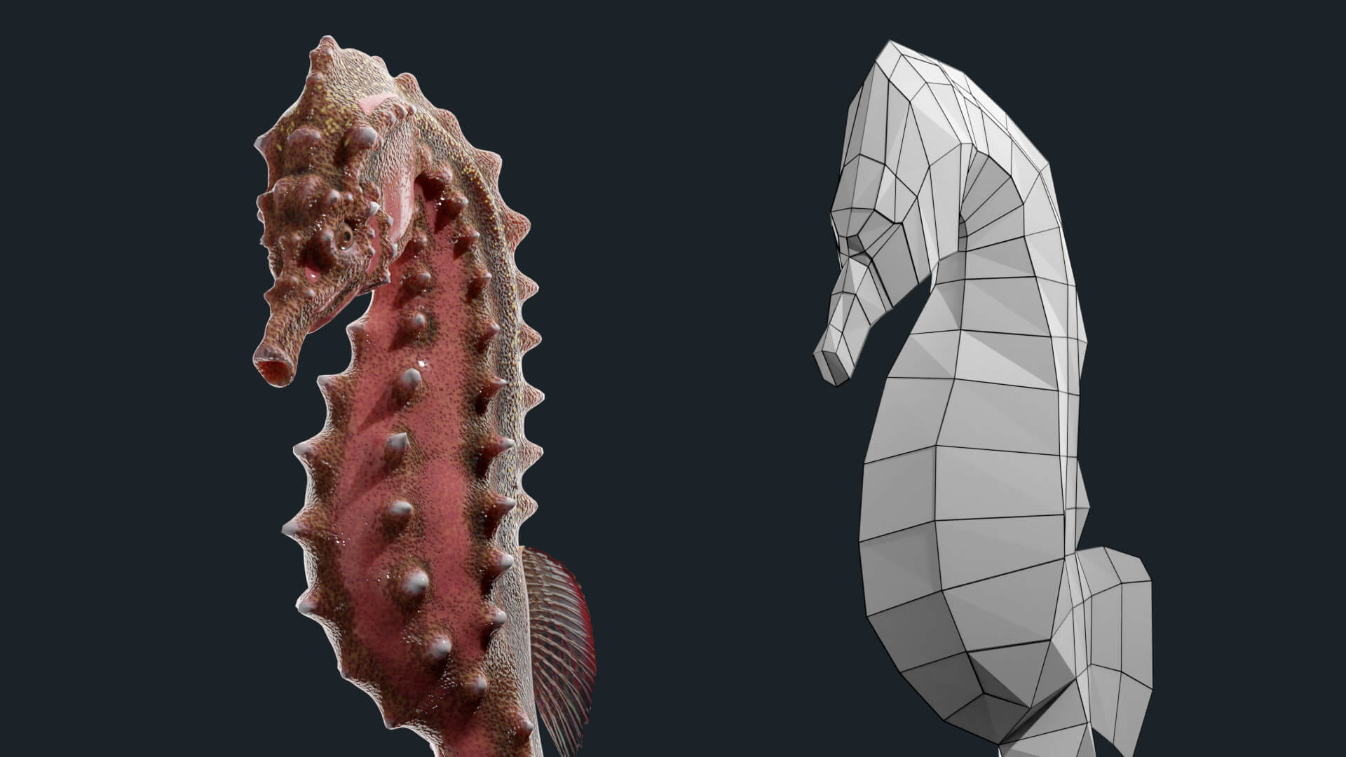 Game Ready Seahorse - 3D Model by Pig Scales Studio