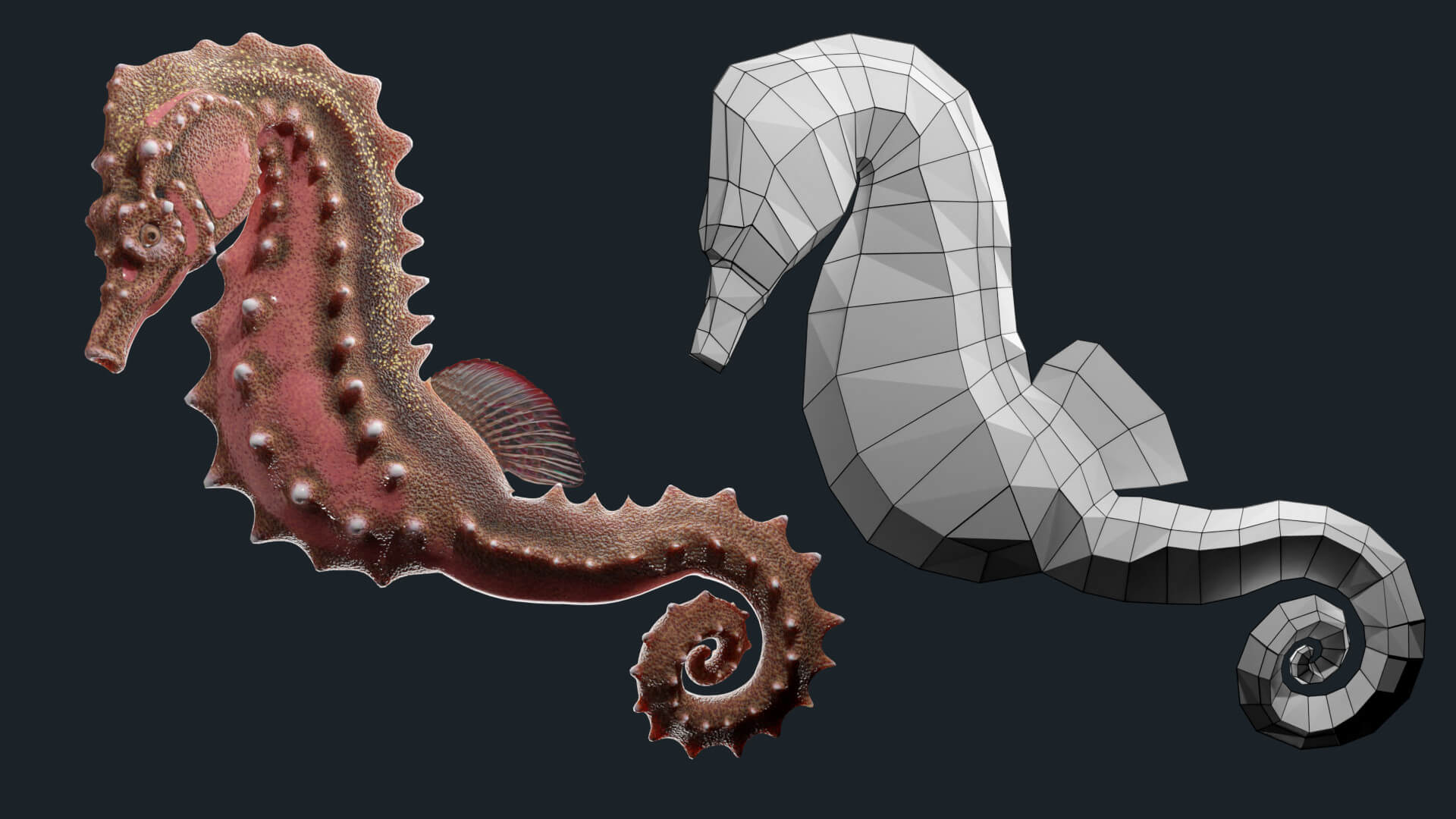 Game Ready Seahorse - 3D Model by Pig Scales Studio