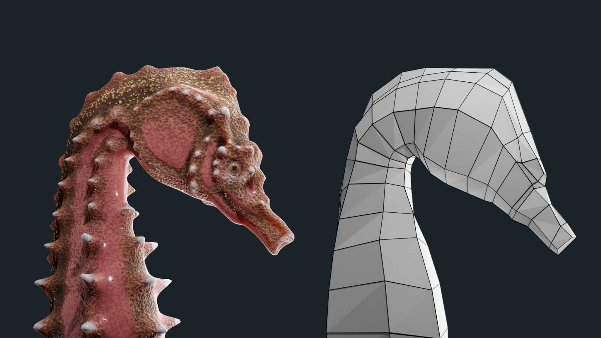 Game Ready Seahorse - 3D Model by Pig Scales Studio