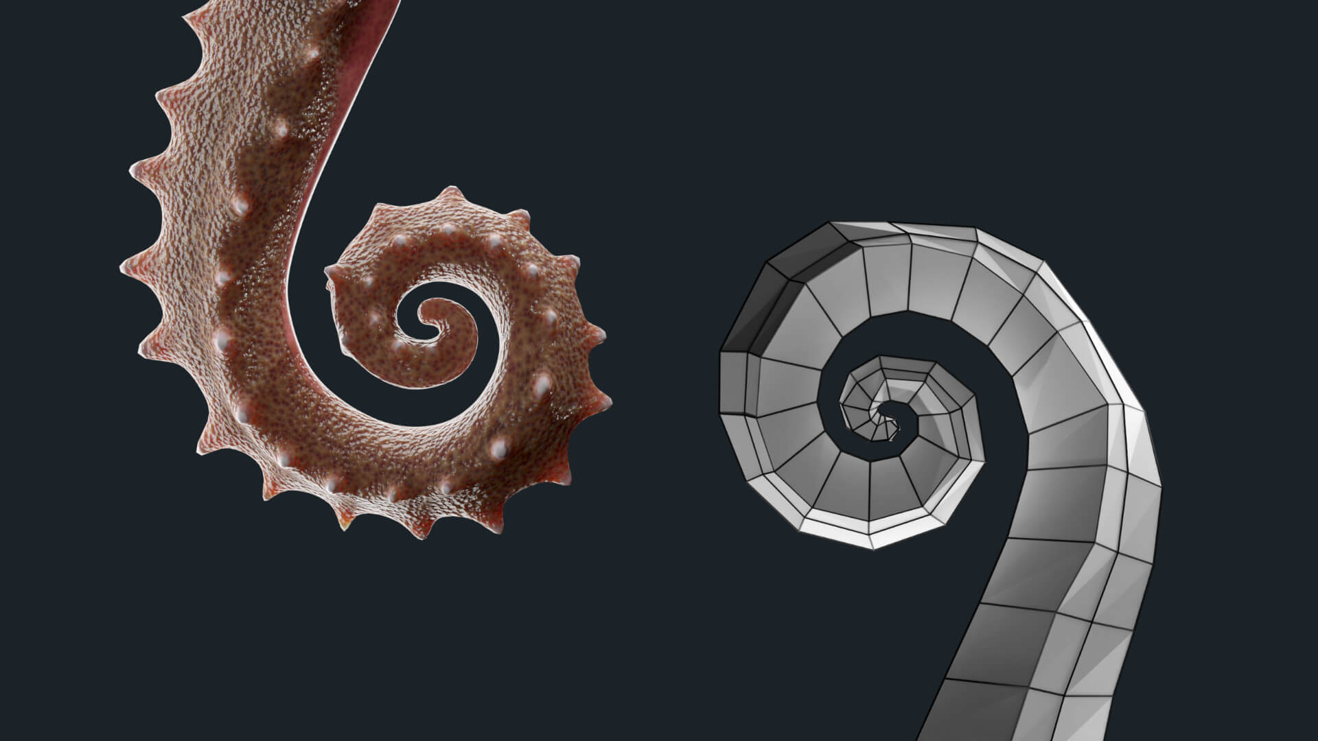 Game Ready Seahorse - 3D Model by Pig Scales Studio