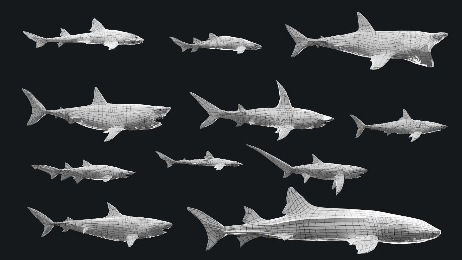 Shark Base Mesh Pack - 3D Model by Pig Scales Studio
