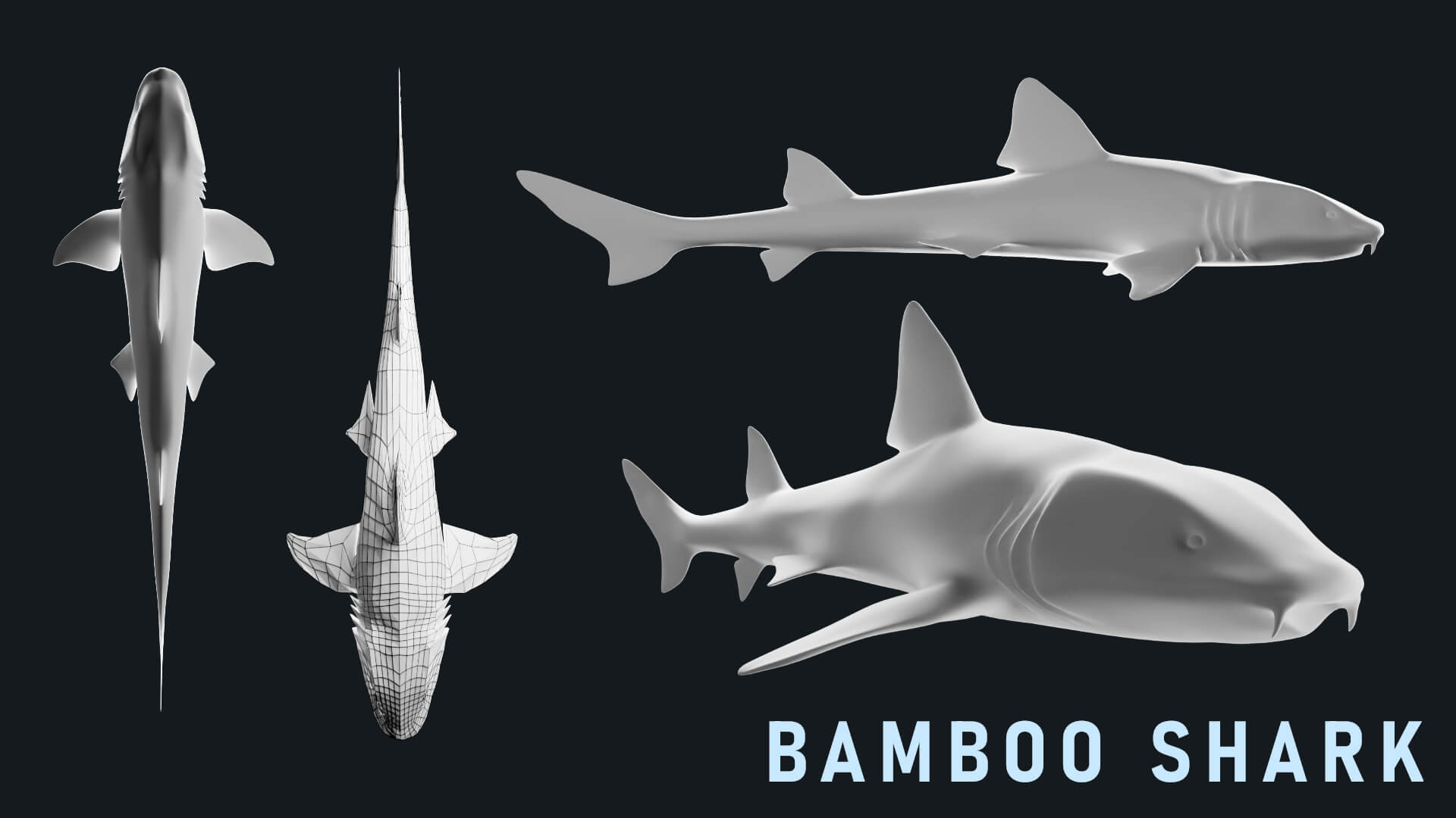 Shark Base Mesh Pack - 3D Model by Pig Scales Studio