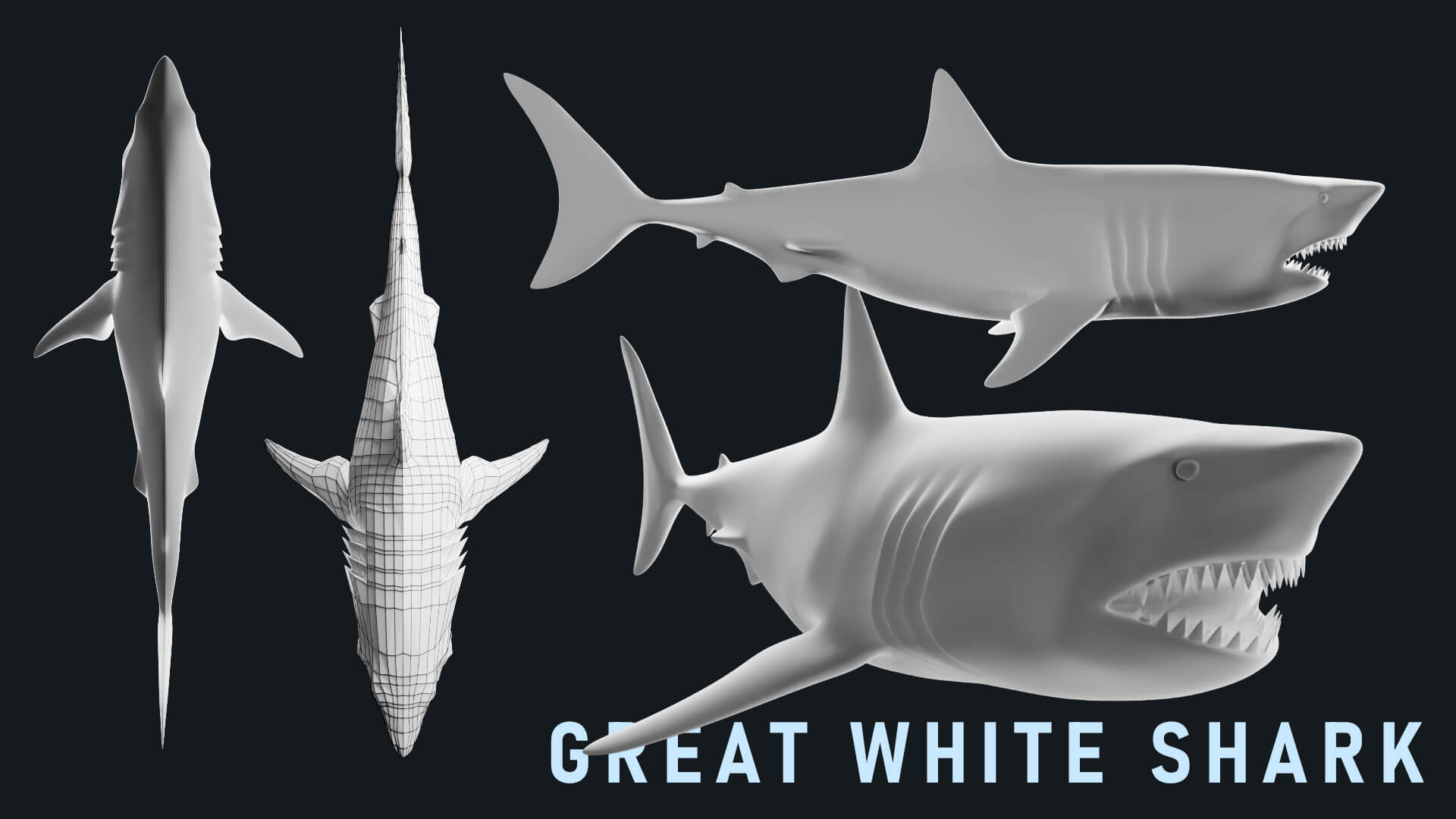 Shark Base Mesh Pack - 3D Model by Pig Scales Studio