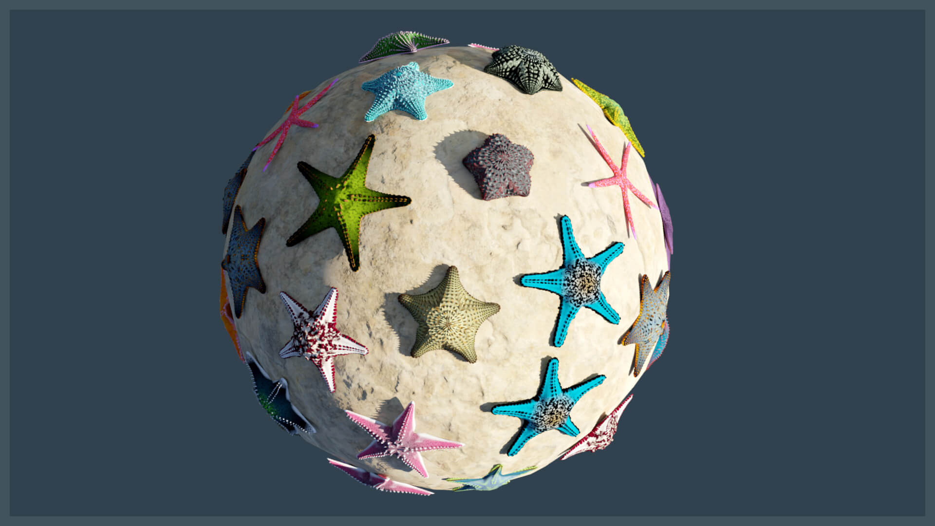 Starfish Pack - 3D Model by Pig Scales Studio