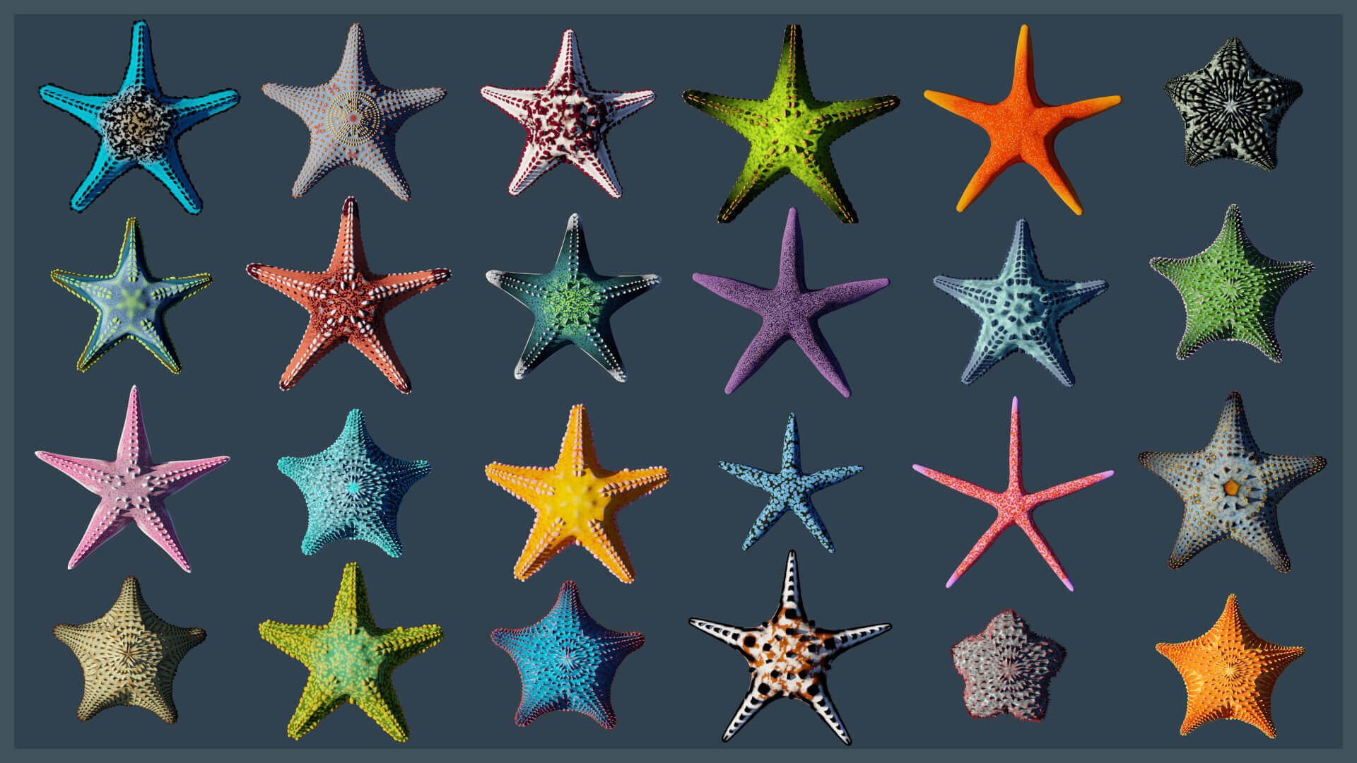 Starfish Pack - 3D Model by Pig Scales Studio