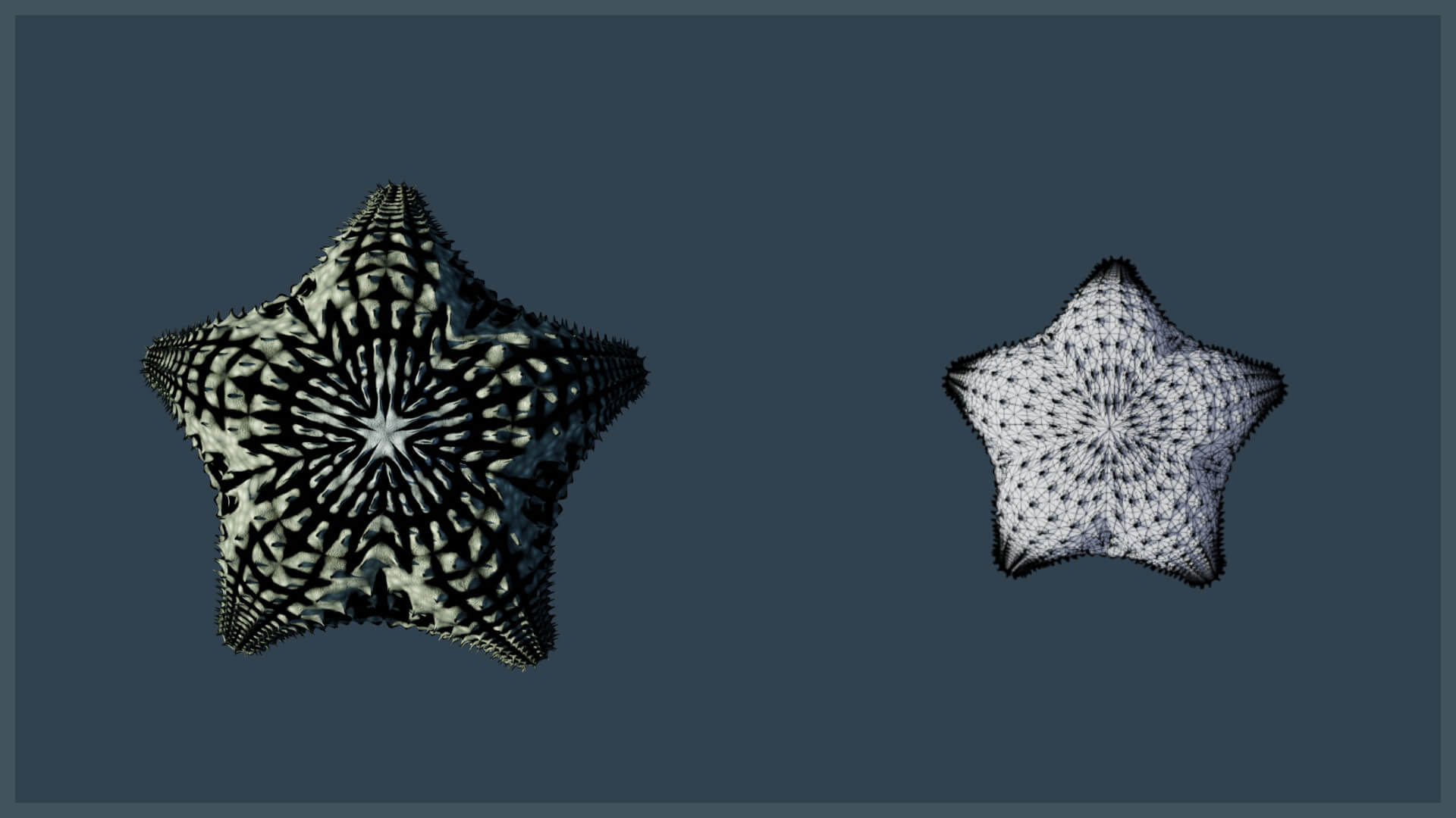 Starfish Pack - 3D Model by Pig Scales Studio