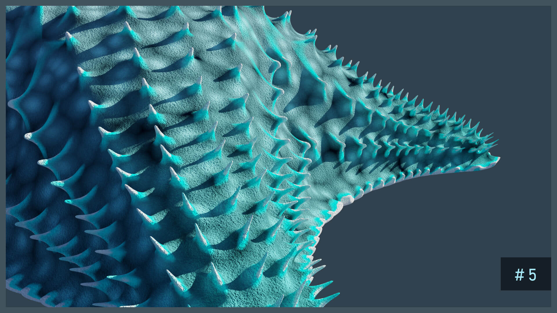 Starfish Pack - 3D Model by Pig Scales Studio